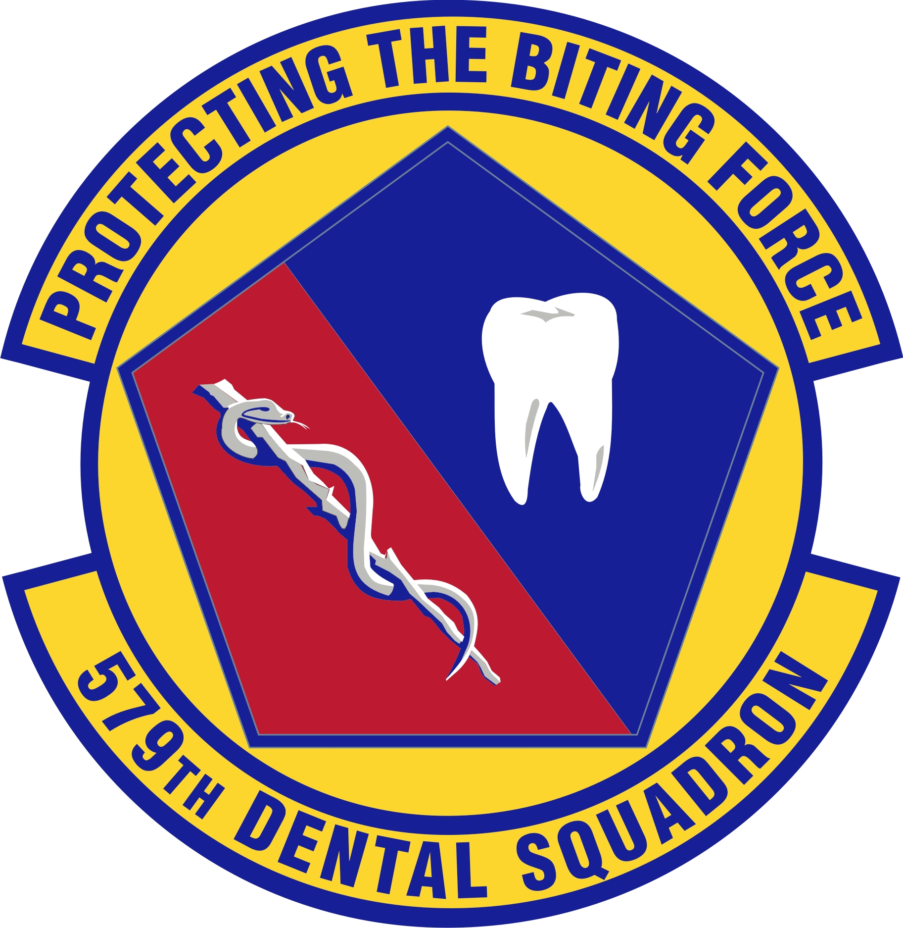 579th Dental Squadron (579 DS)