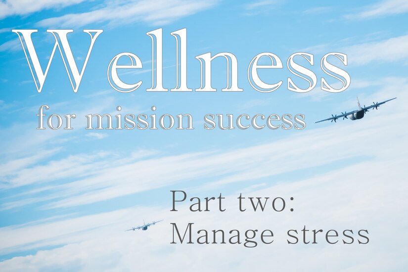 Wellness for mission success – manage stress > 477th Fighter Group ...