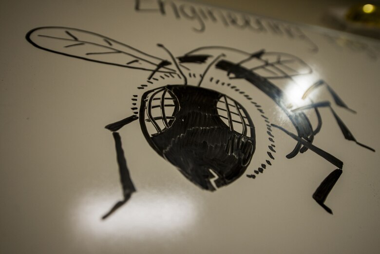 BEE flight promotes safe environment > Shaw Air Force Base > Article ...