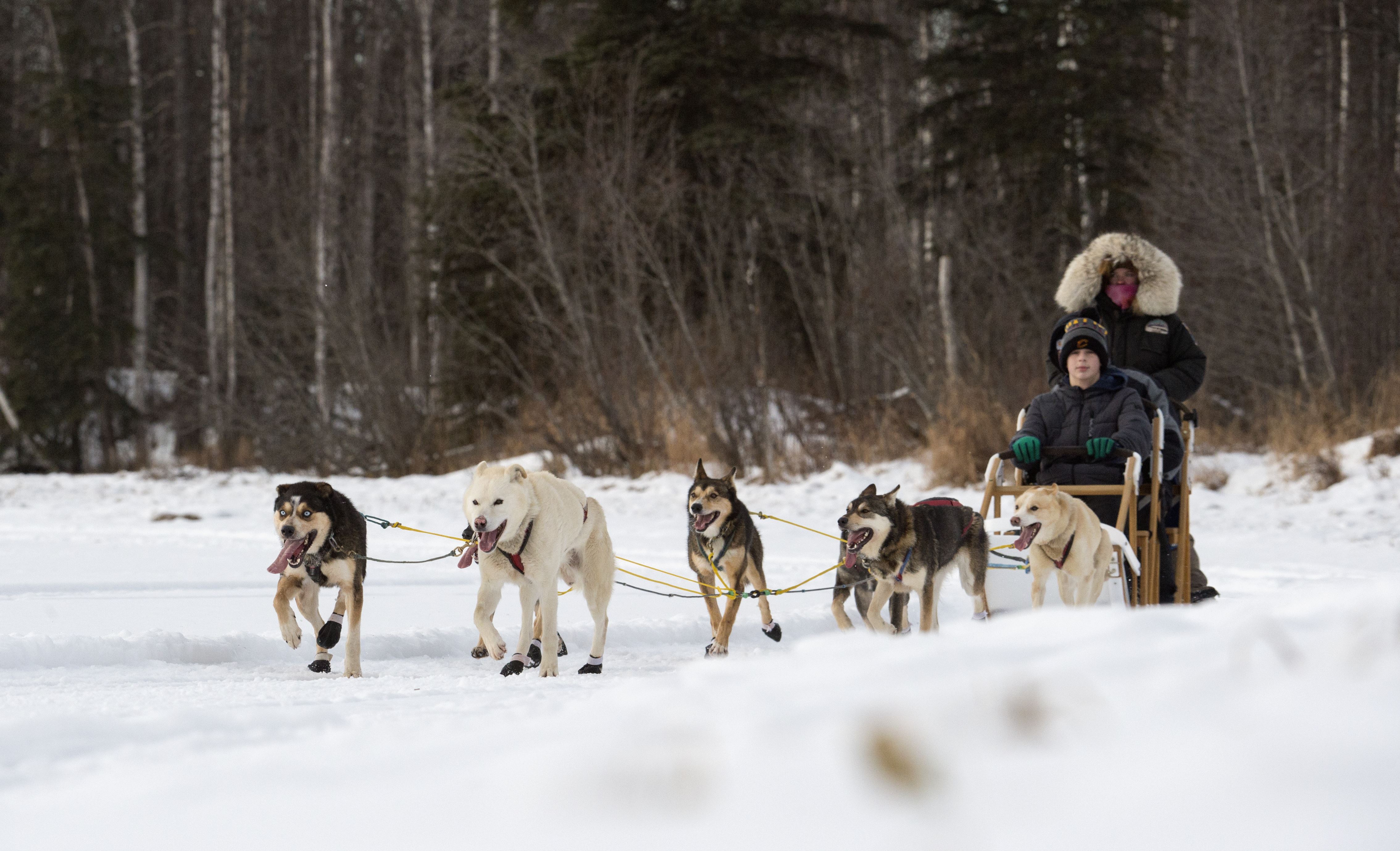 673d FSS and JBER Life offer dog sled rides to Hillberg Ski Area visitors