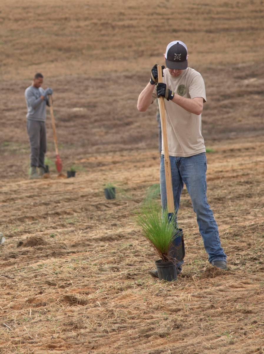Seeds to trees: Base beautification project > Eglin Air Force Base ...