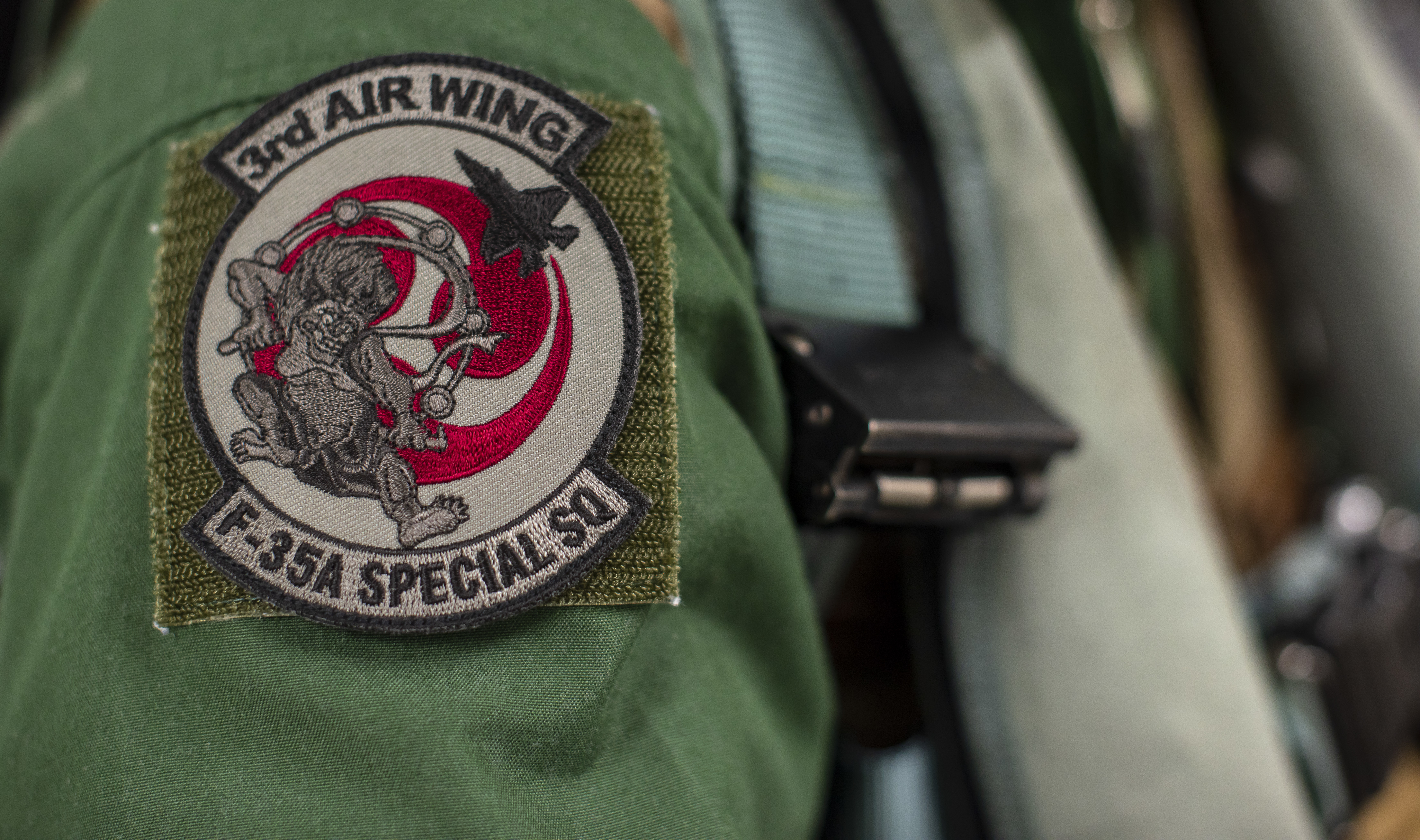 35th Fighter Wing, 3rd Air Wing commanders integrate in bilateral ...