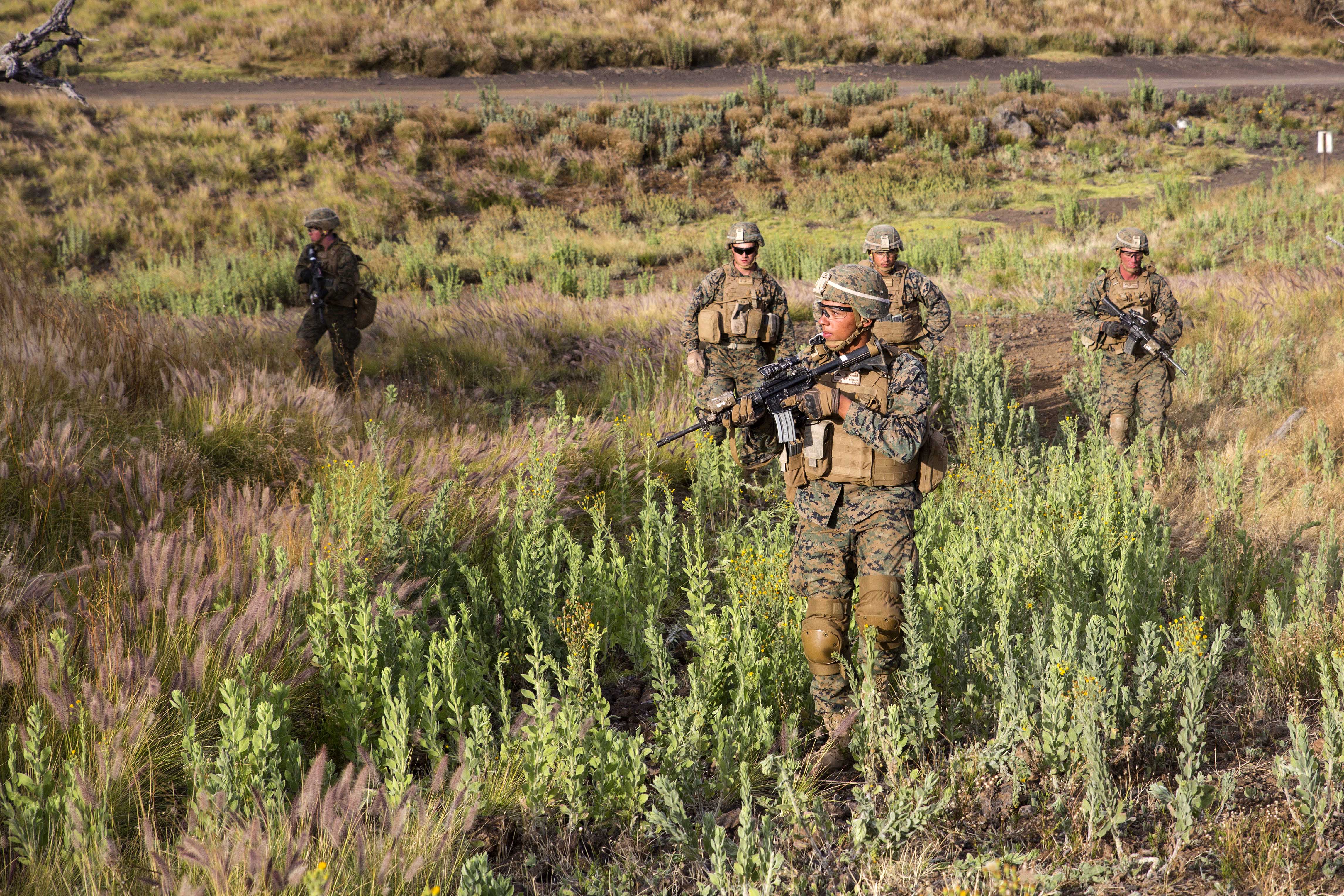 Marines On The Move | U.S. Department of War