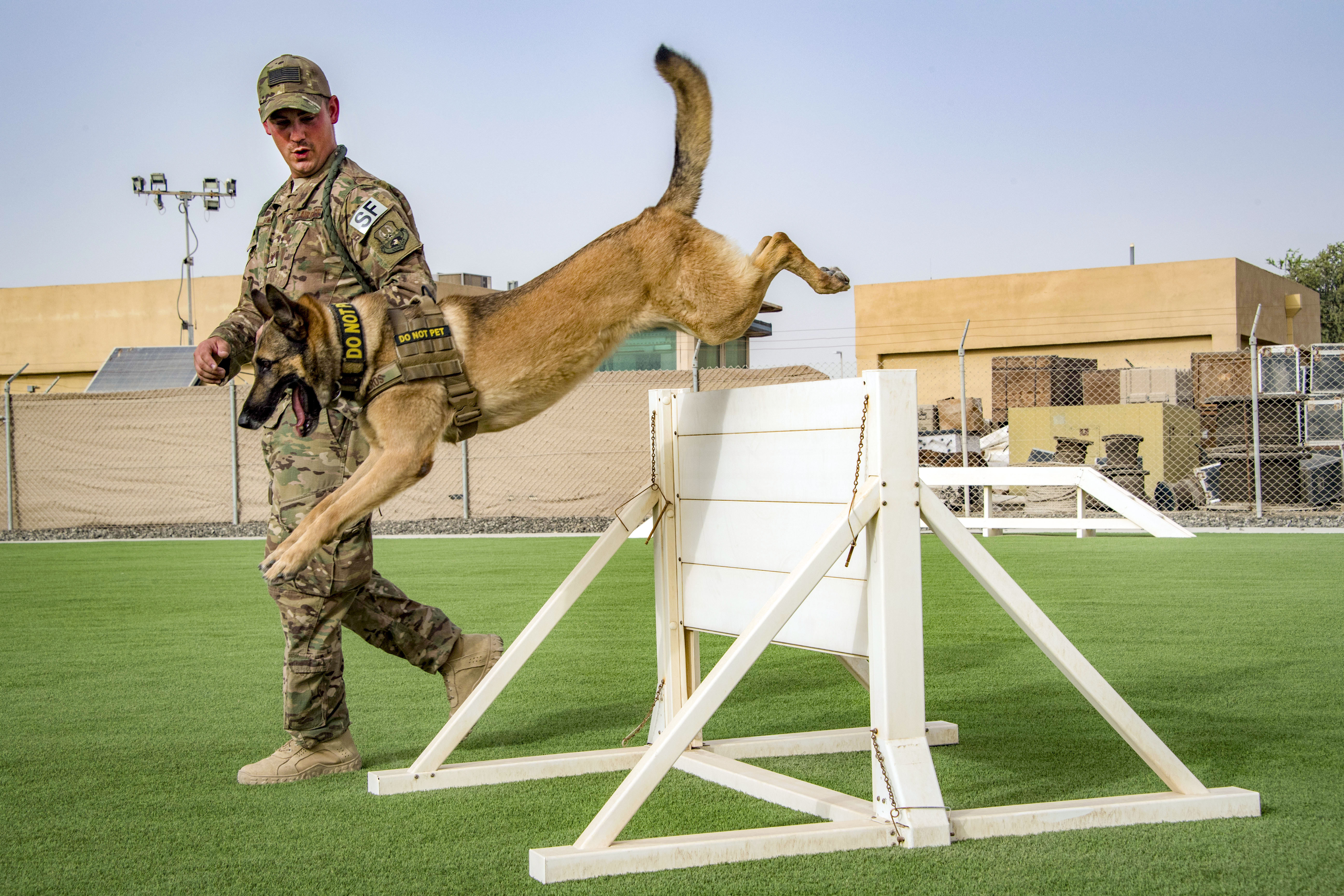 AF Week in Photos > Air Force > Article Display