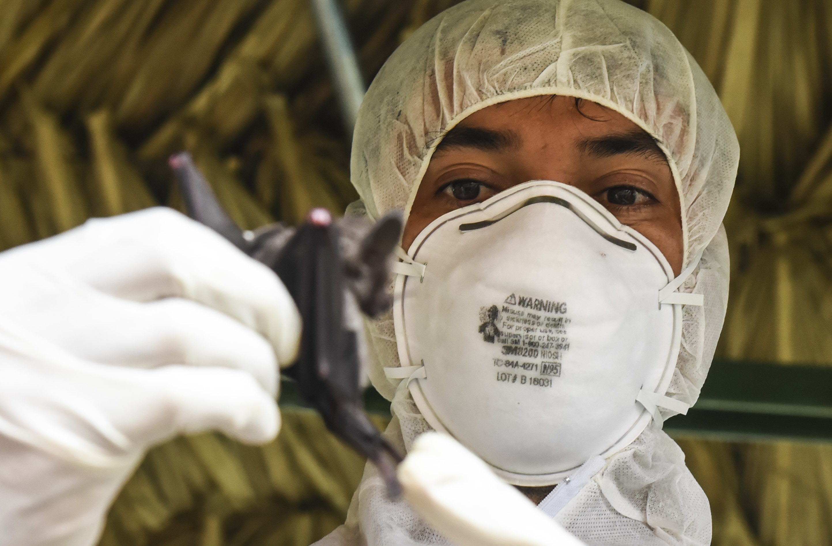 Infectious Disease Gown