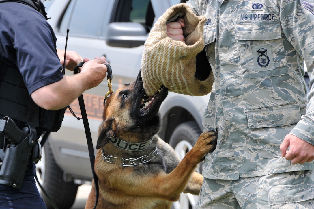 K-9 Training