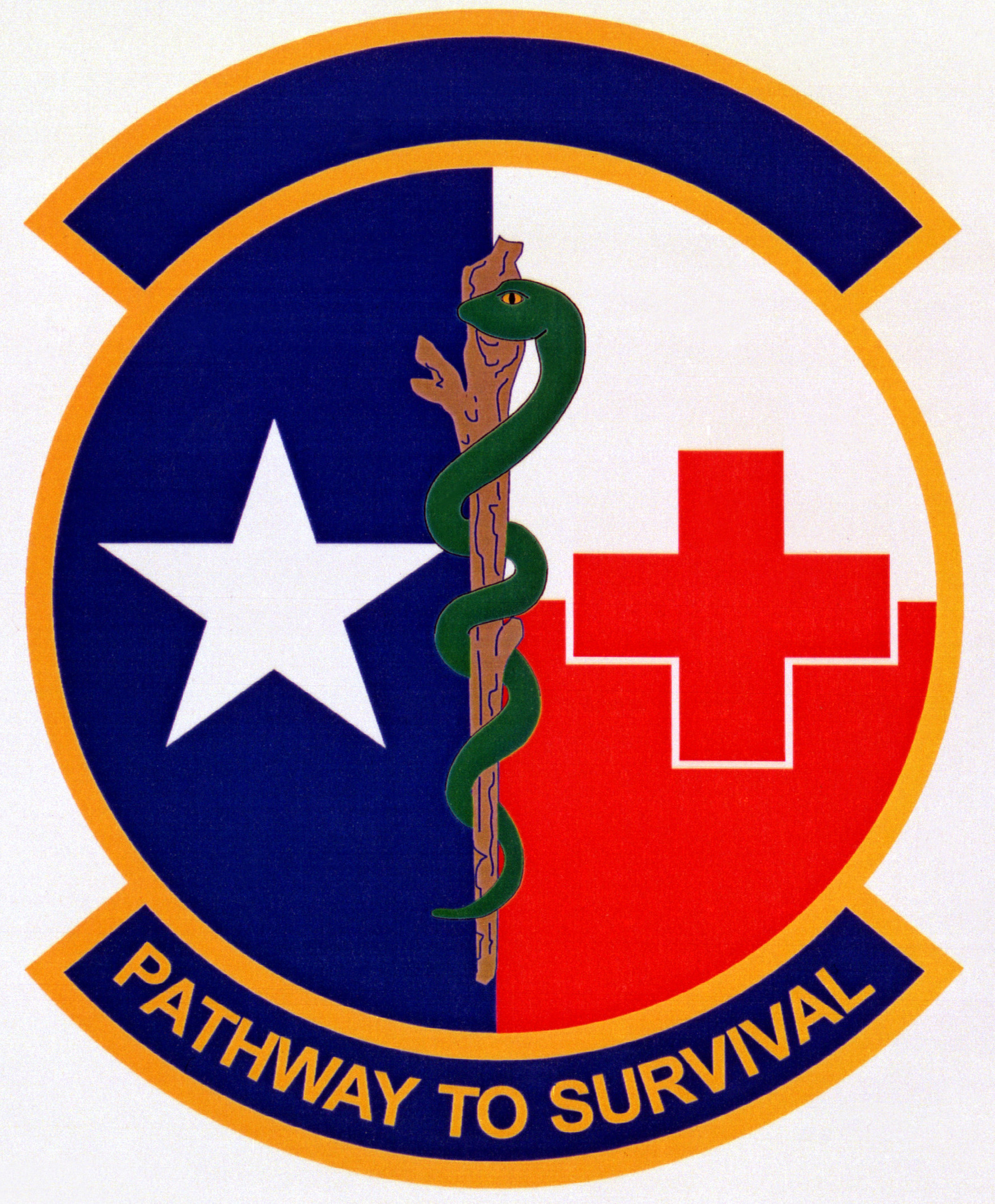 433d Aeromedical Staging Squadron (433 AMSS)