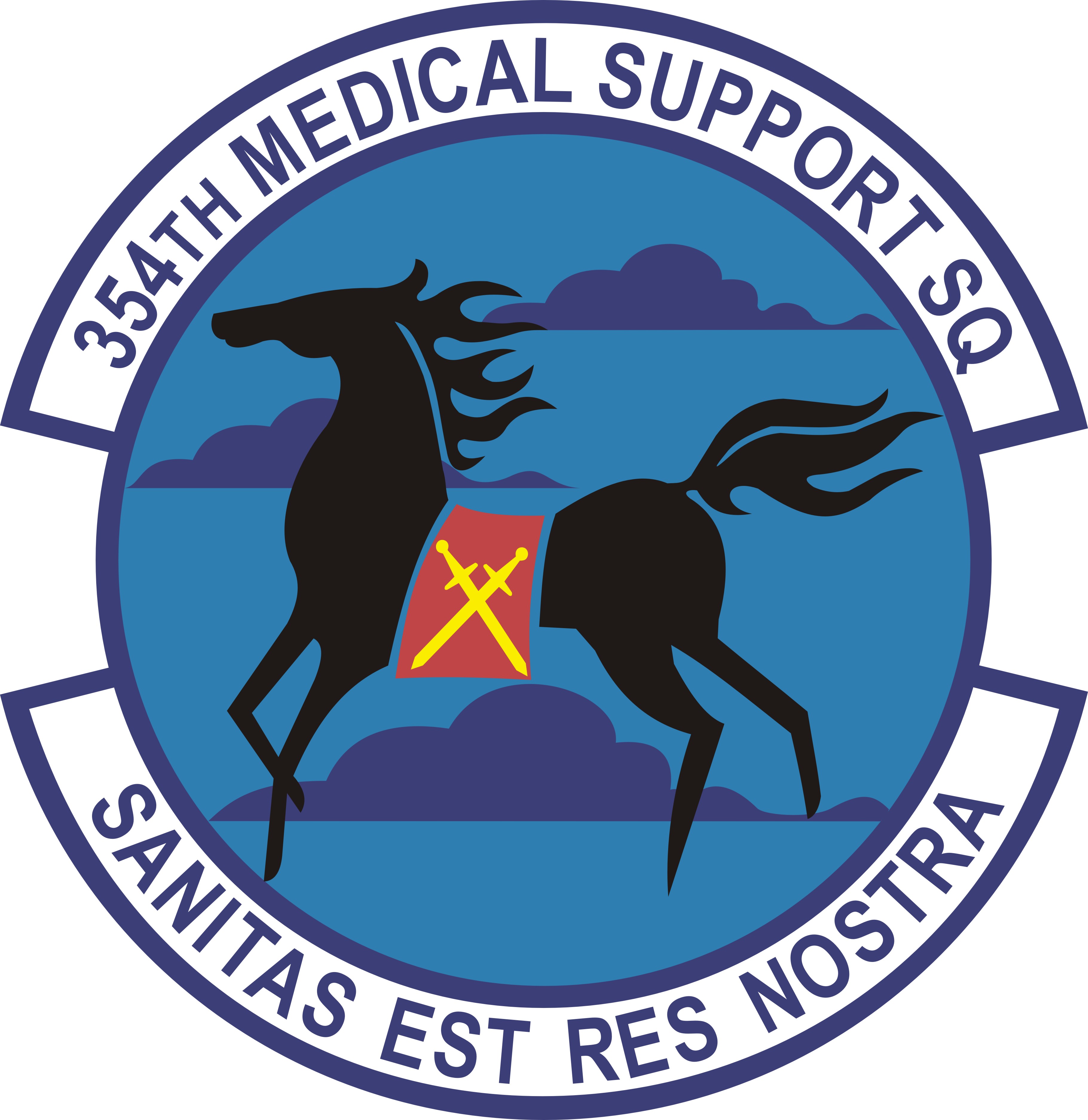 354th Medical Support Squadron (354 MDSS)