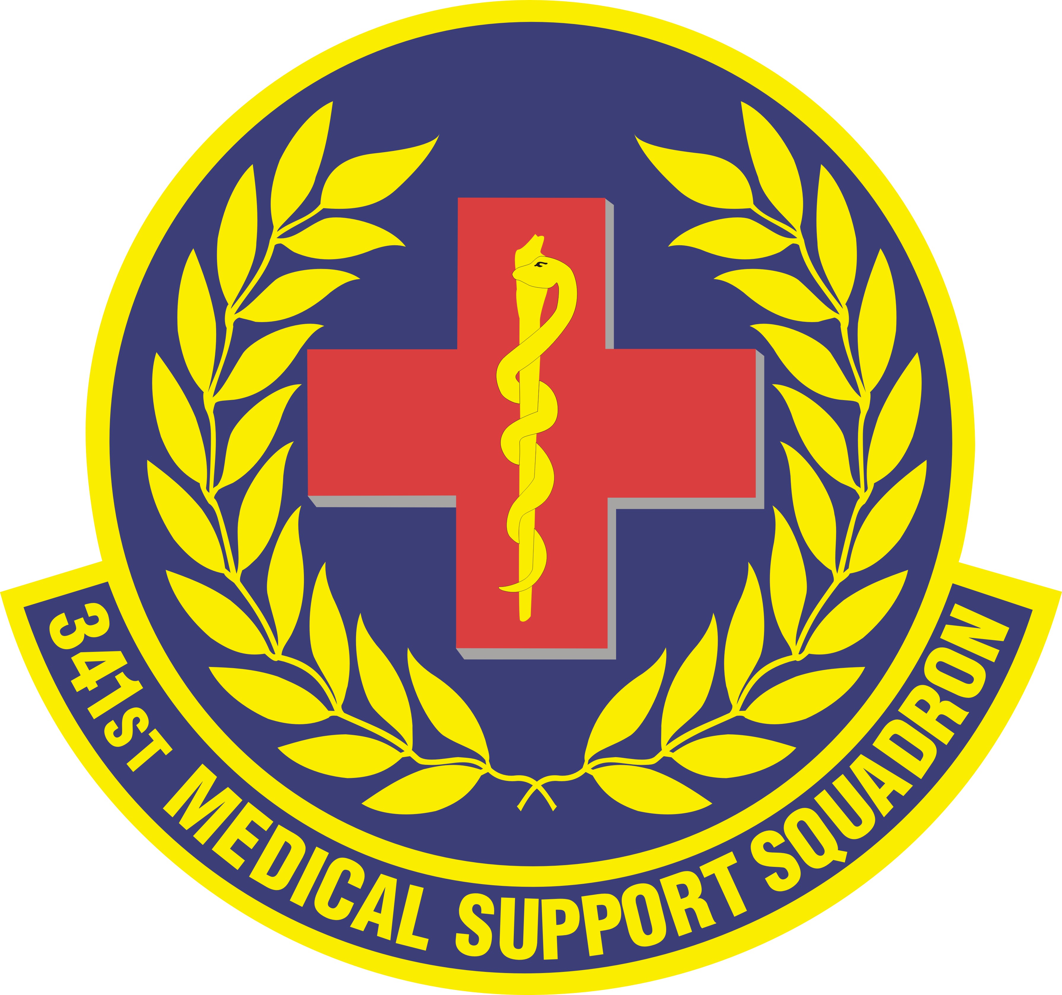 341st Medical Support Squadron (341 MDSS)