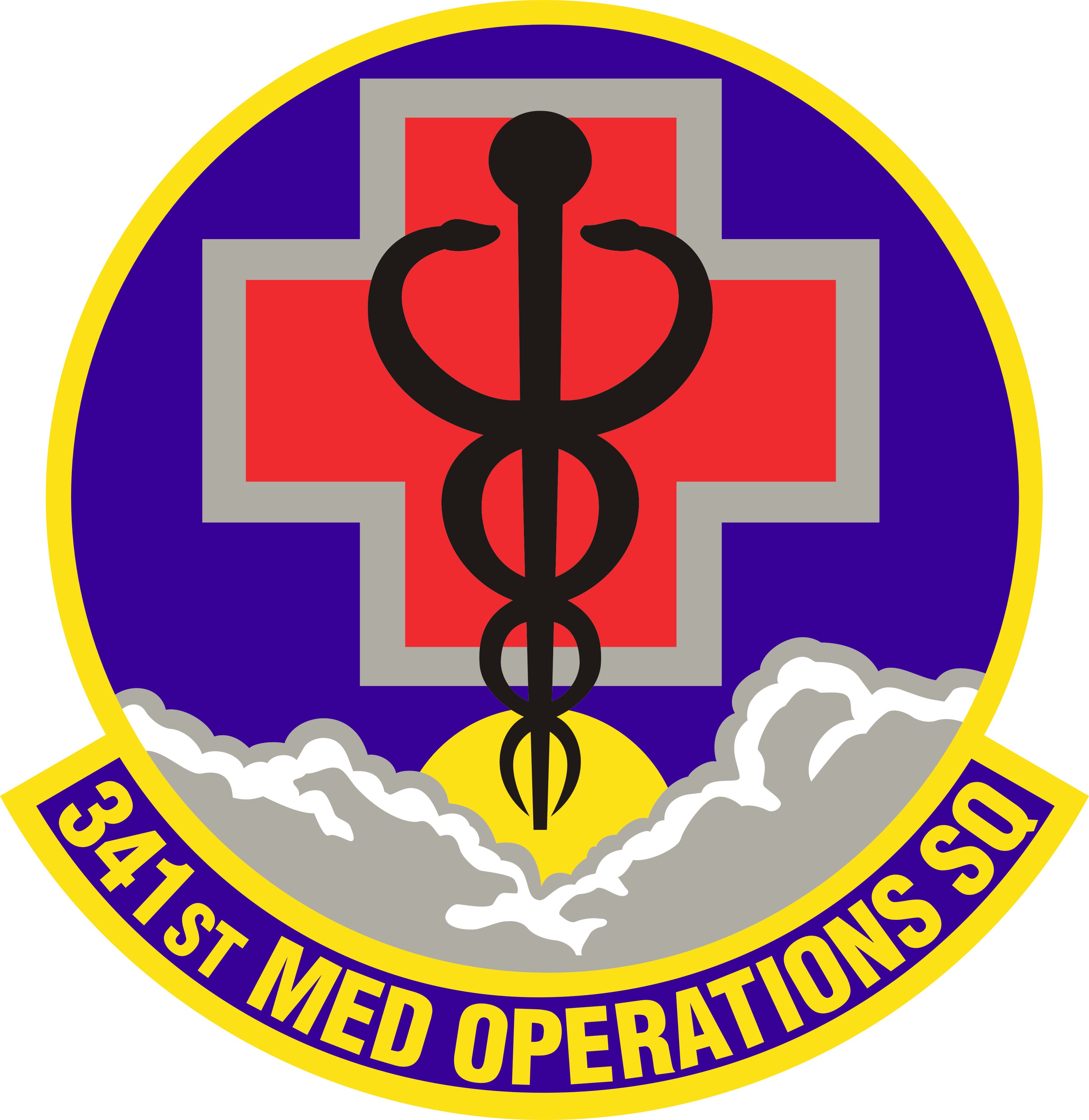 341st Medical Operations Squadron (341 MDOS)