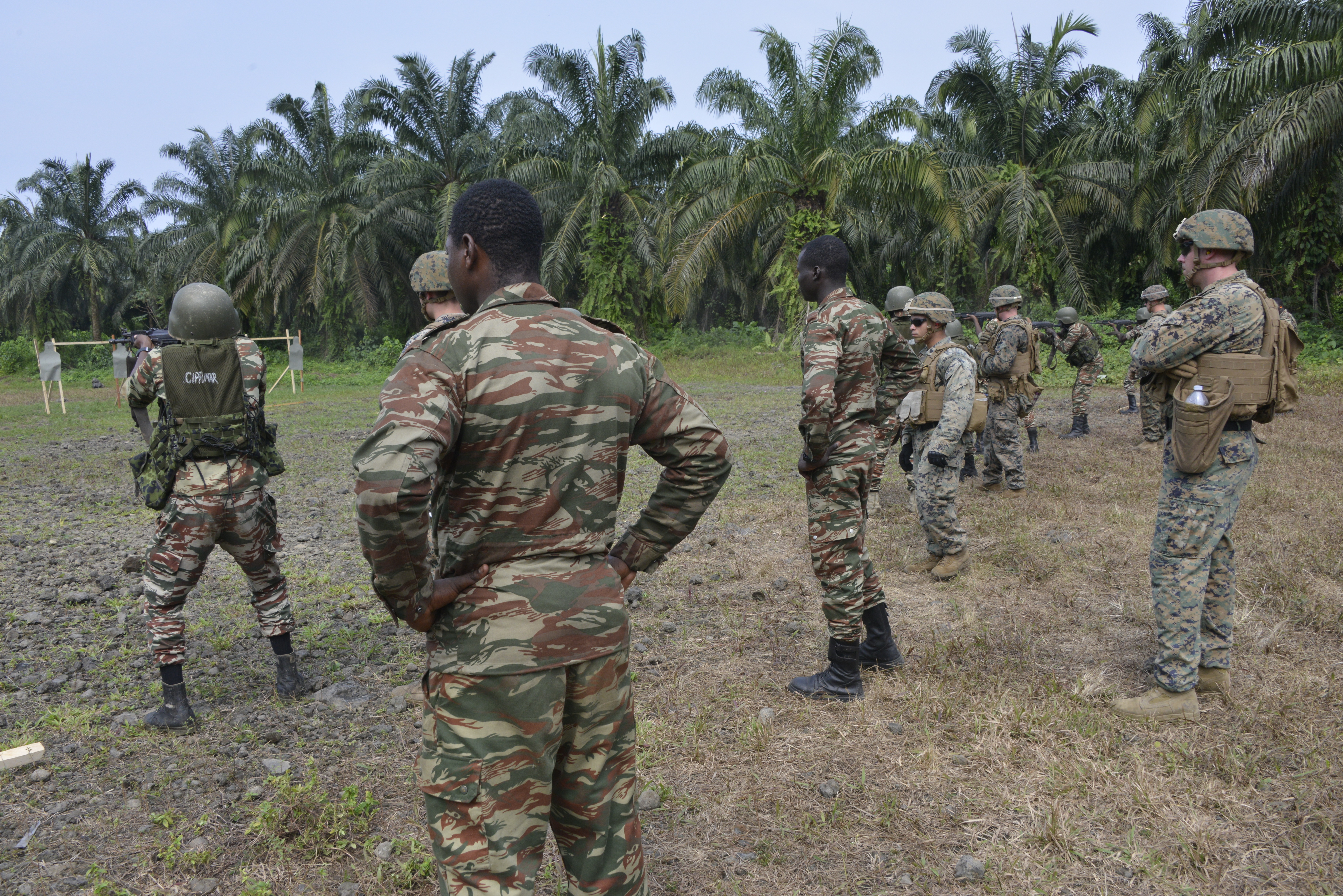 AFRICOM Commander Testifies Before House Committee > United States ...