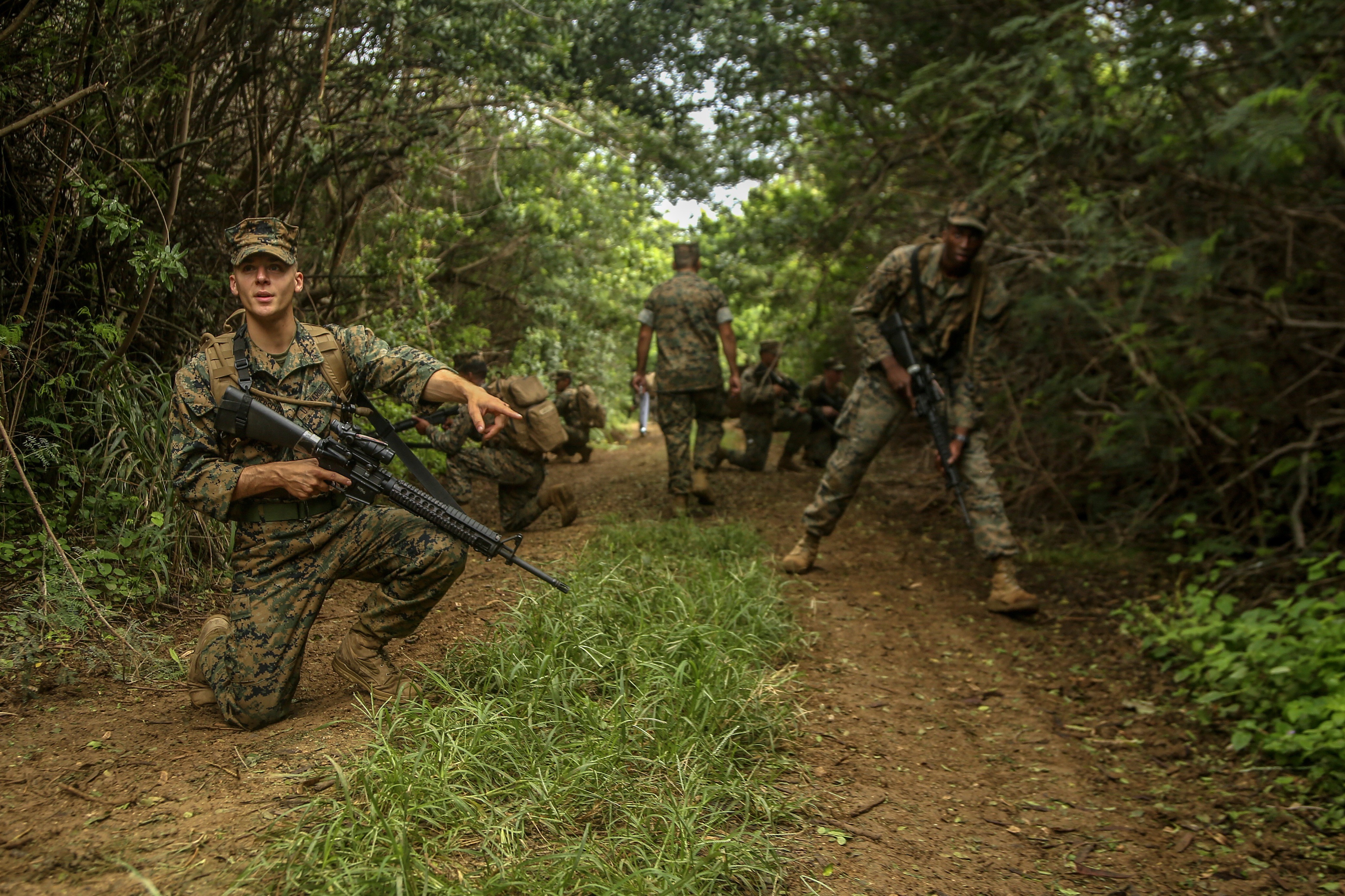 Green Lane | U.S. Department of War