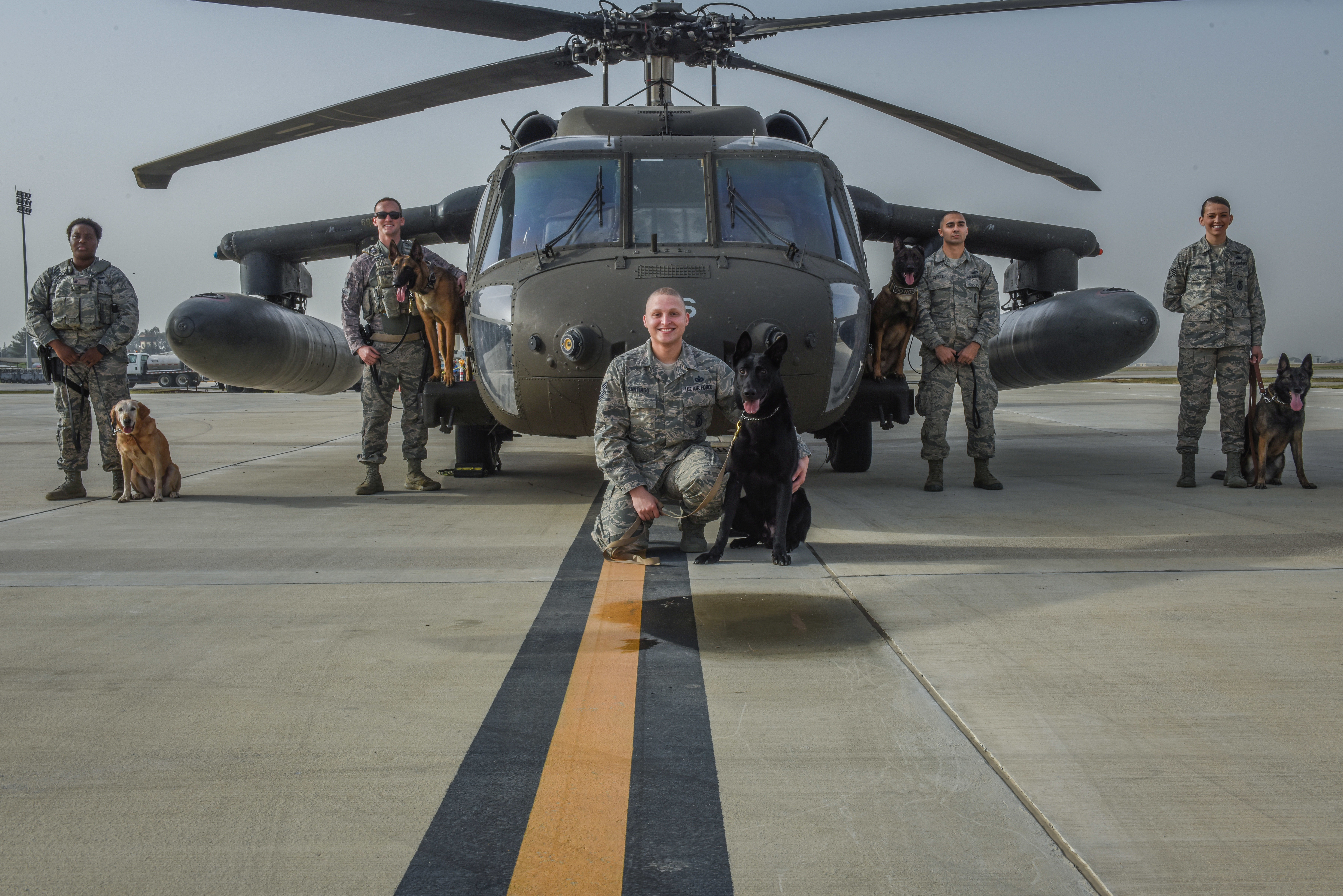 National K-9 Veterans Day: A Tribute to Incirlik’s MWD Teams > Incirlik ...