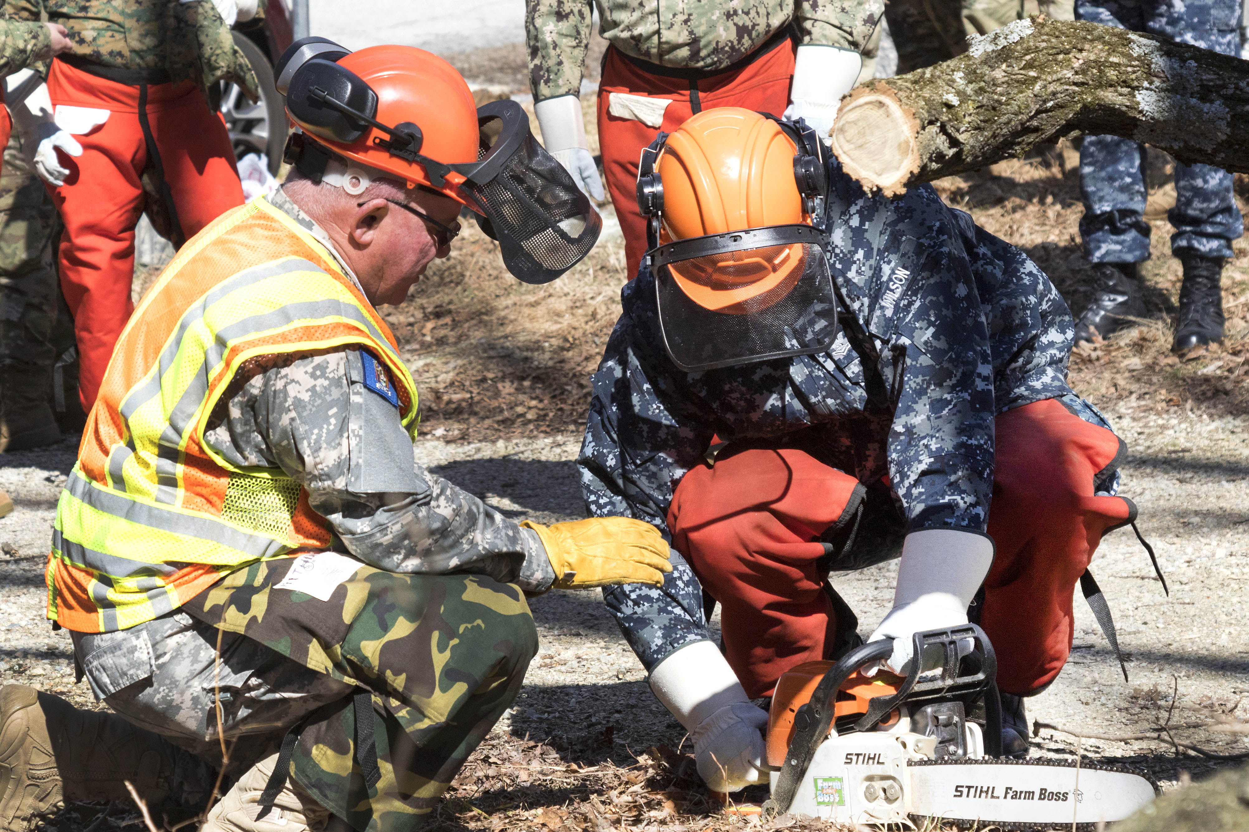 Chainsaw Operations, Safety Class | U.S. Department of War
