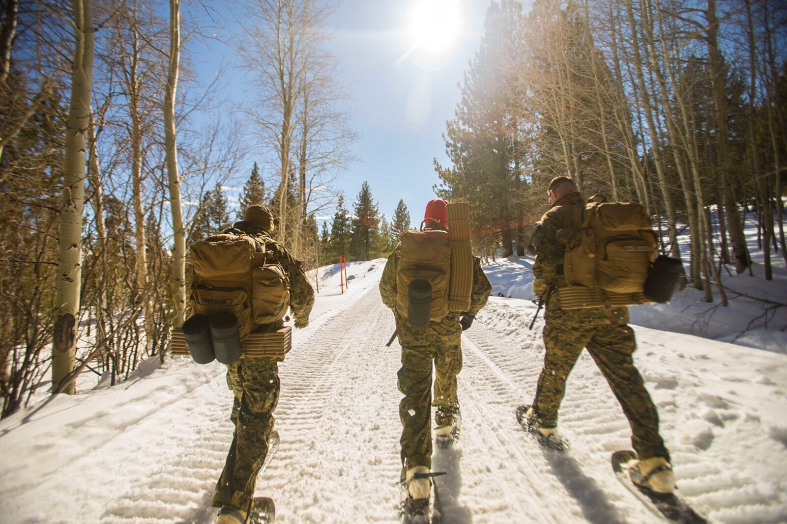 Combat Logistics Regiment 17