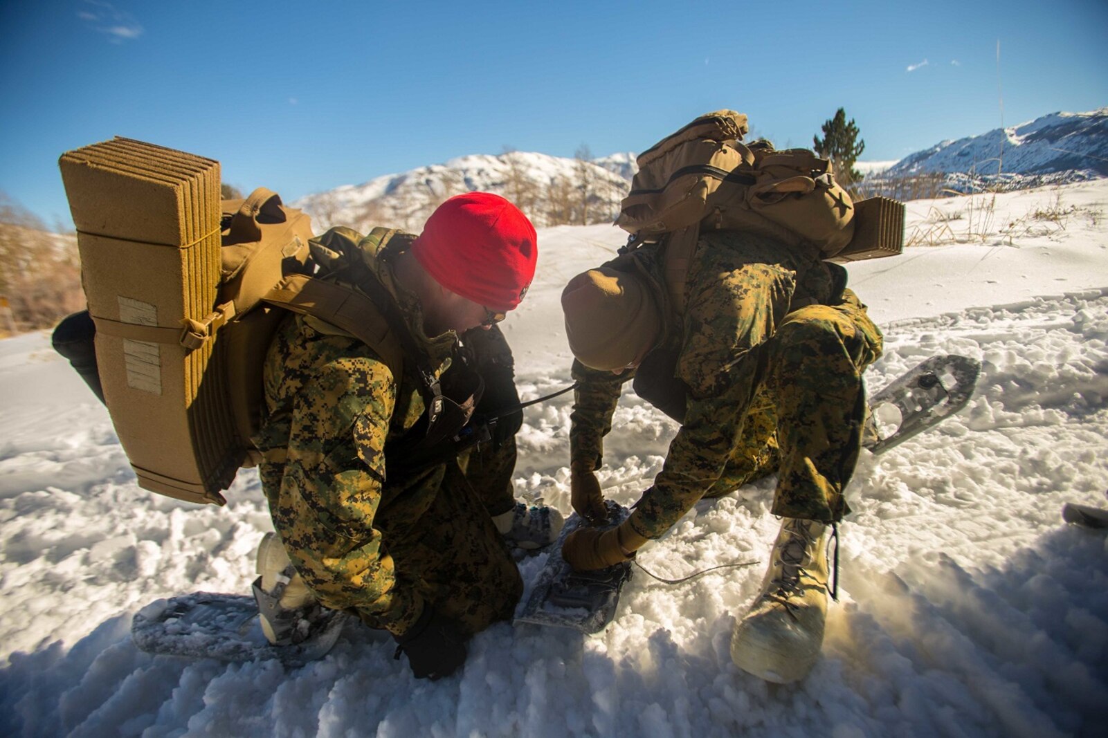 Combat Logistics Regiment 17