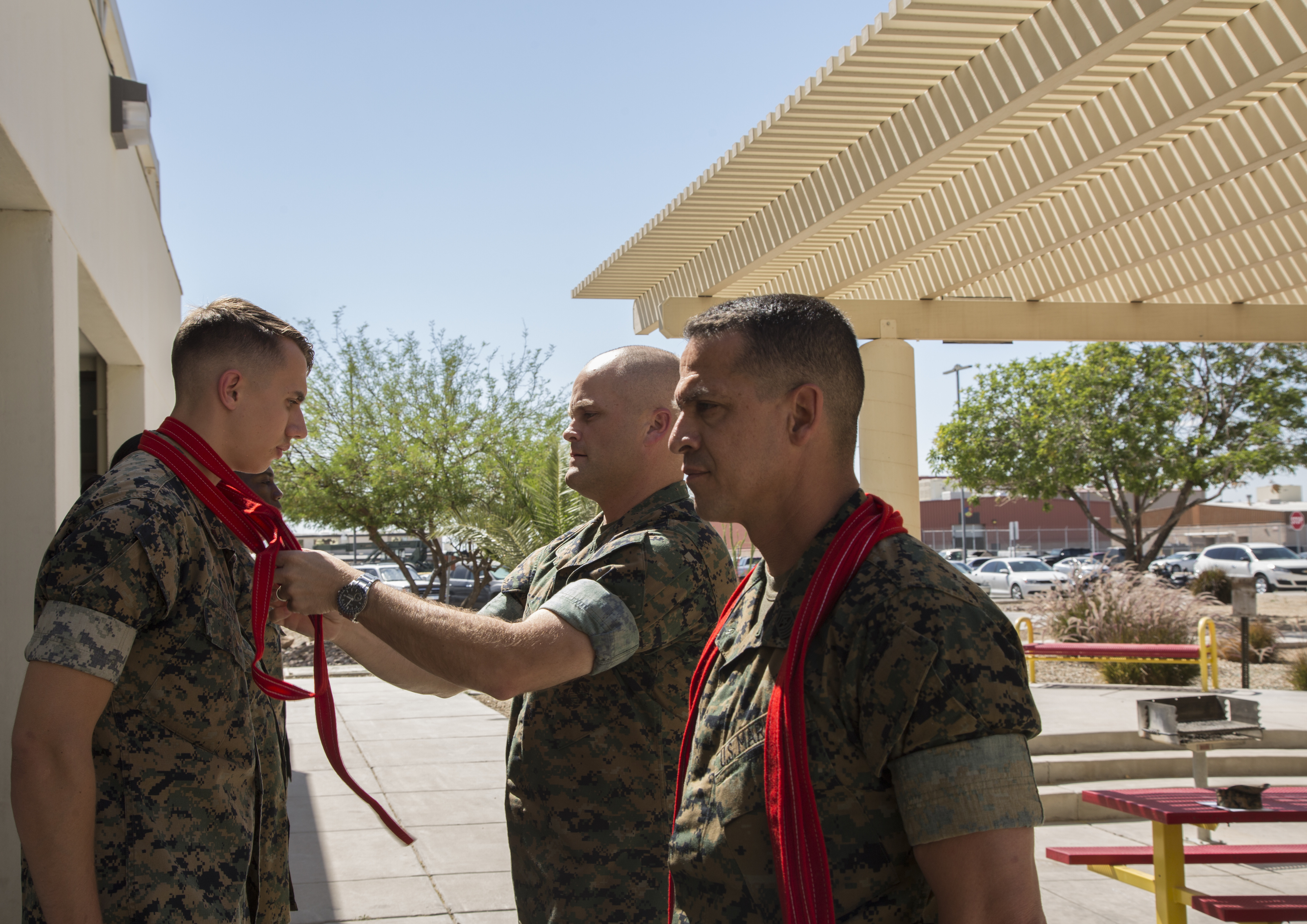 Carrying on the Tradition