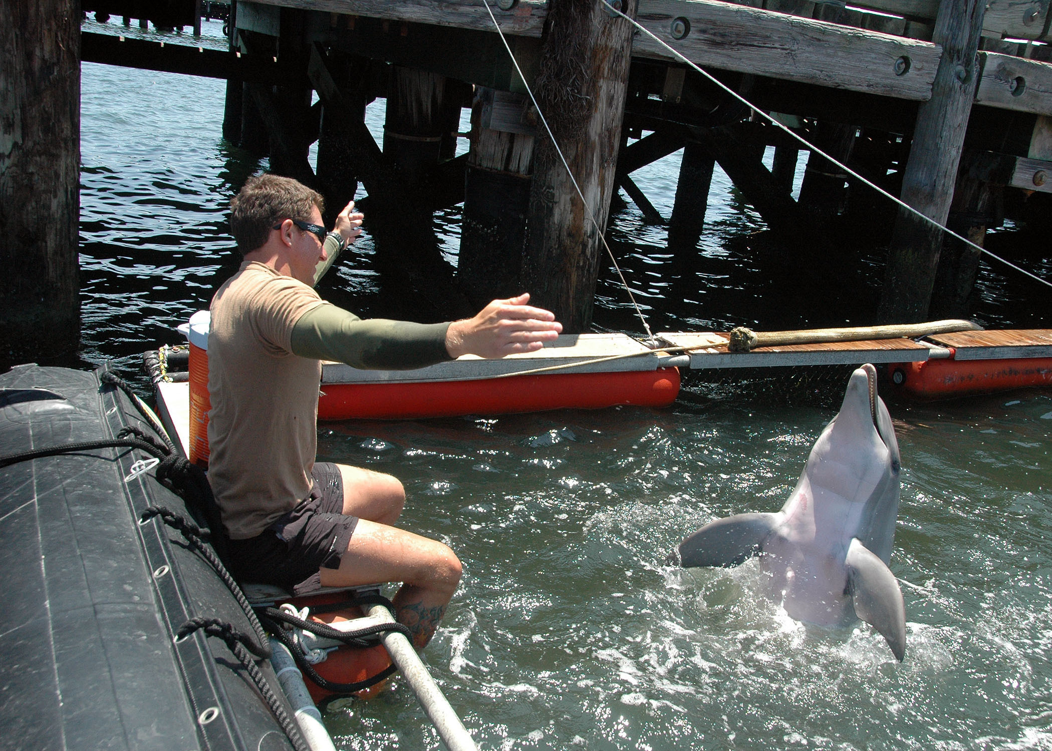 NCG2 Assists in Navy Dolphin Transport to Marine Mammal Institute ...