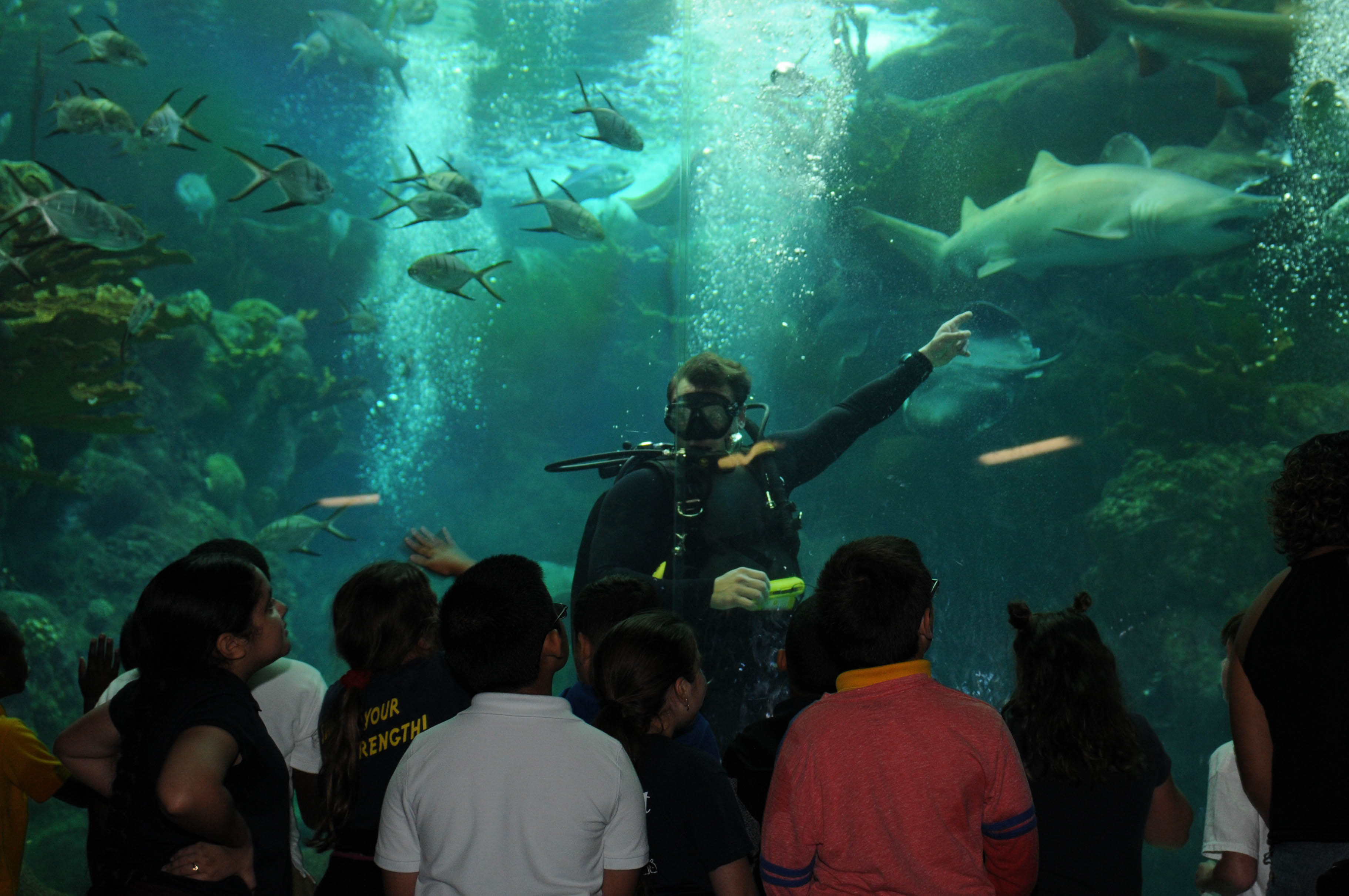 Florida Aquarium hosts US Navy > United States Navy > News Stories