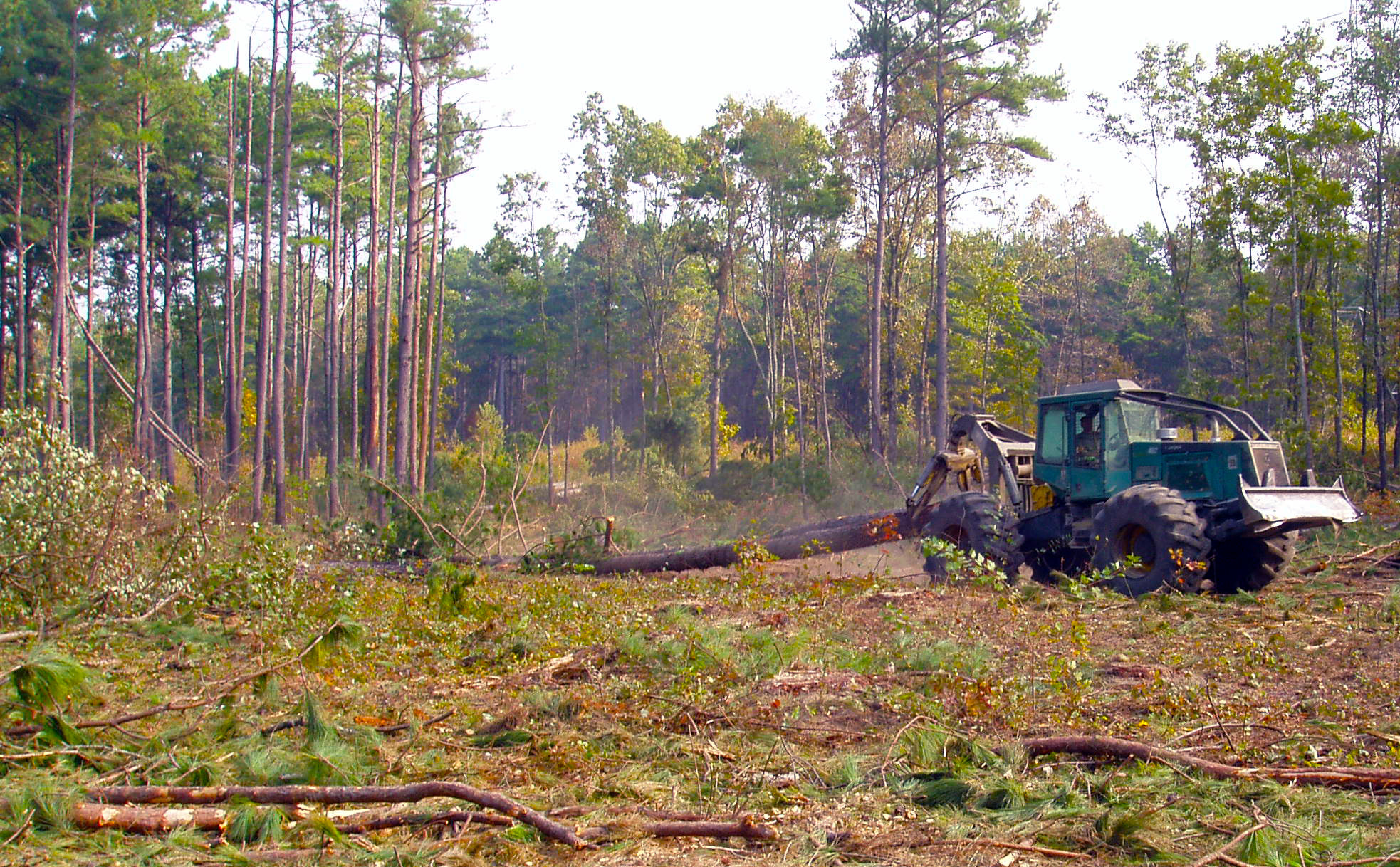 Forest management essential to base land use > Arnold Air Force Base ...