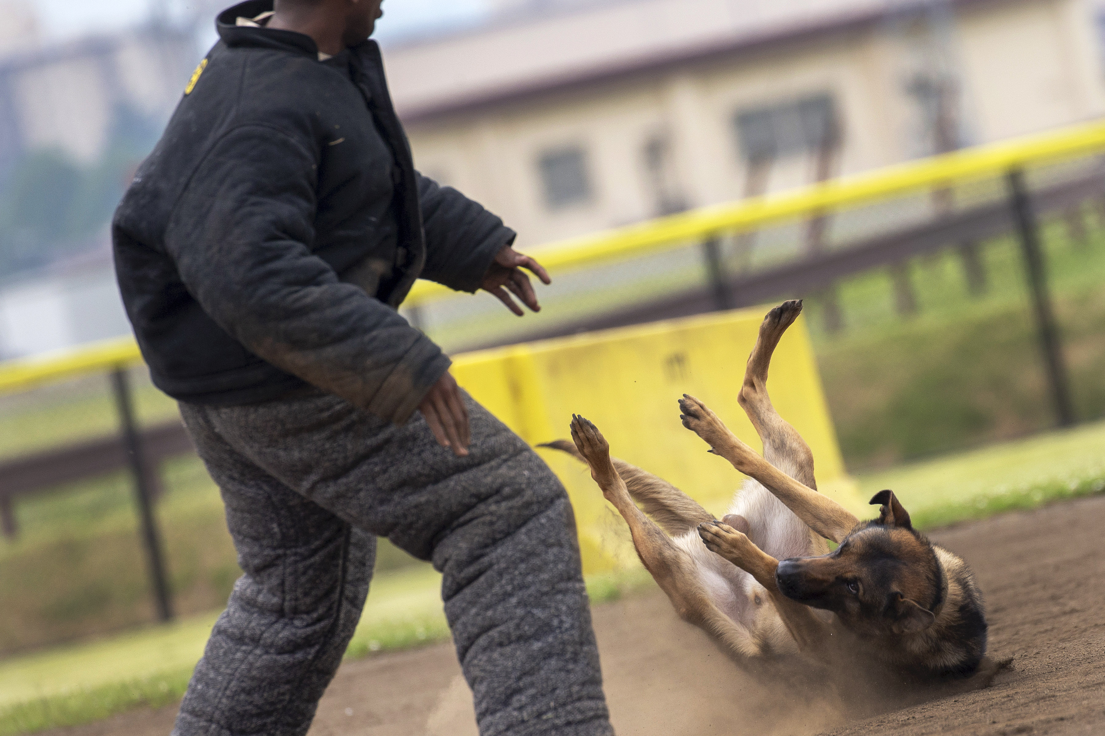 Flip Flop Move | U.S. Department of War