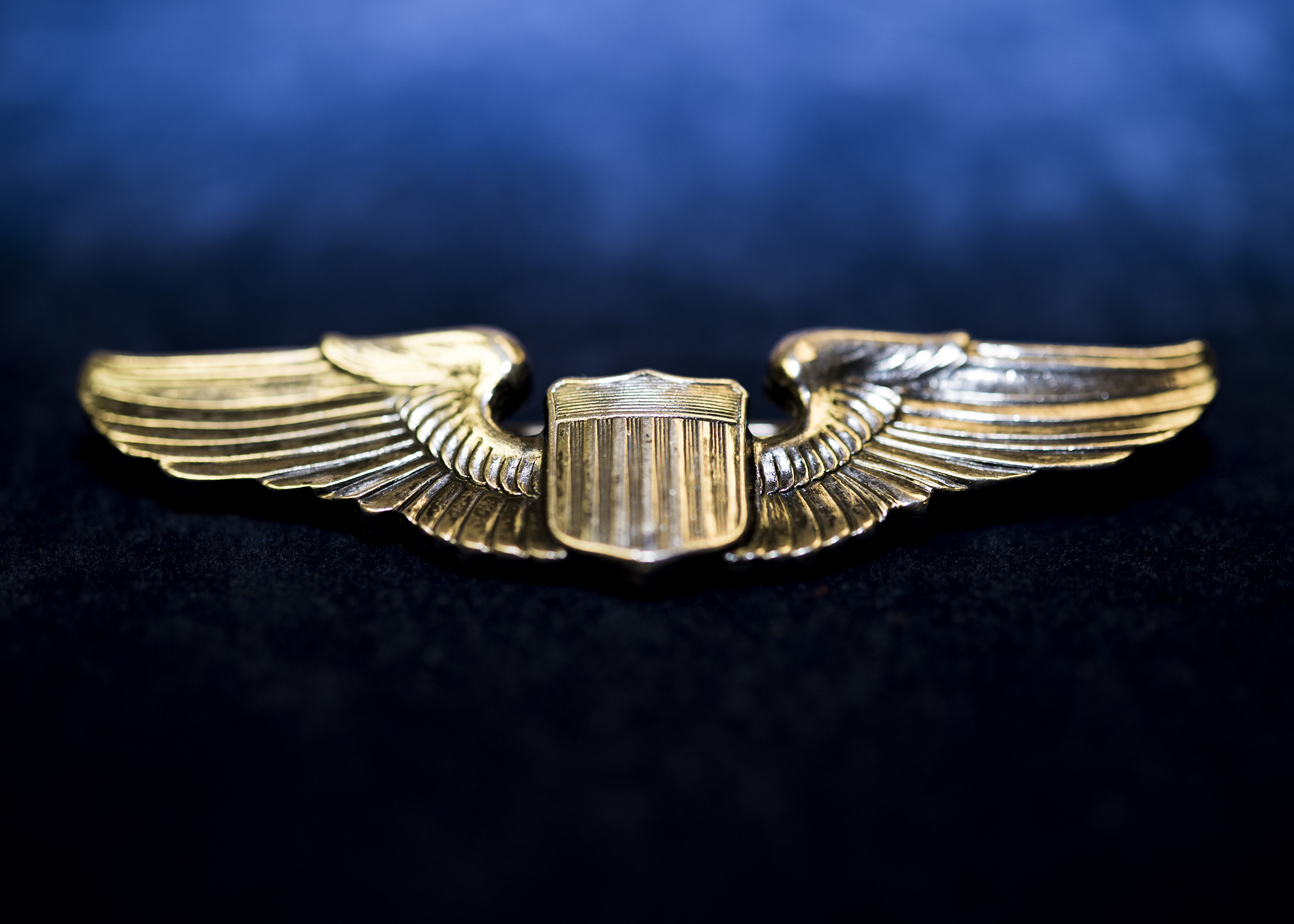 The Wings that Circled and Returned > 501st Combat Support Wing ...