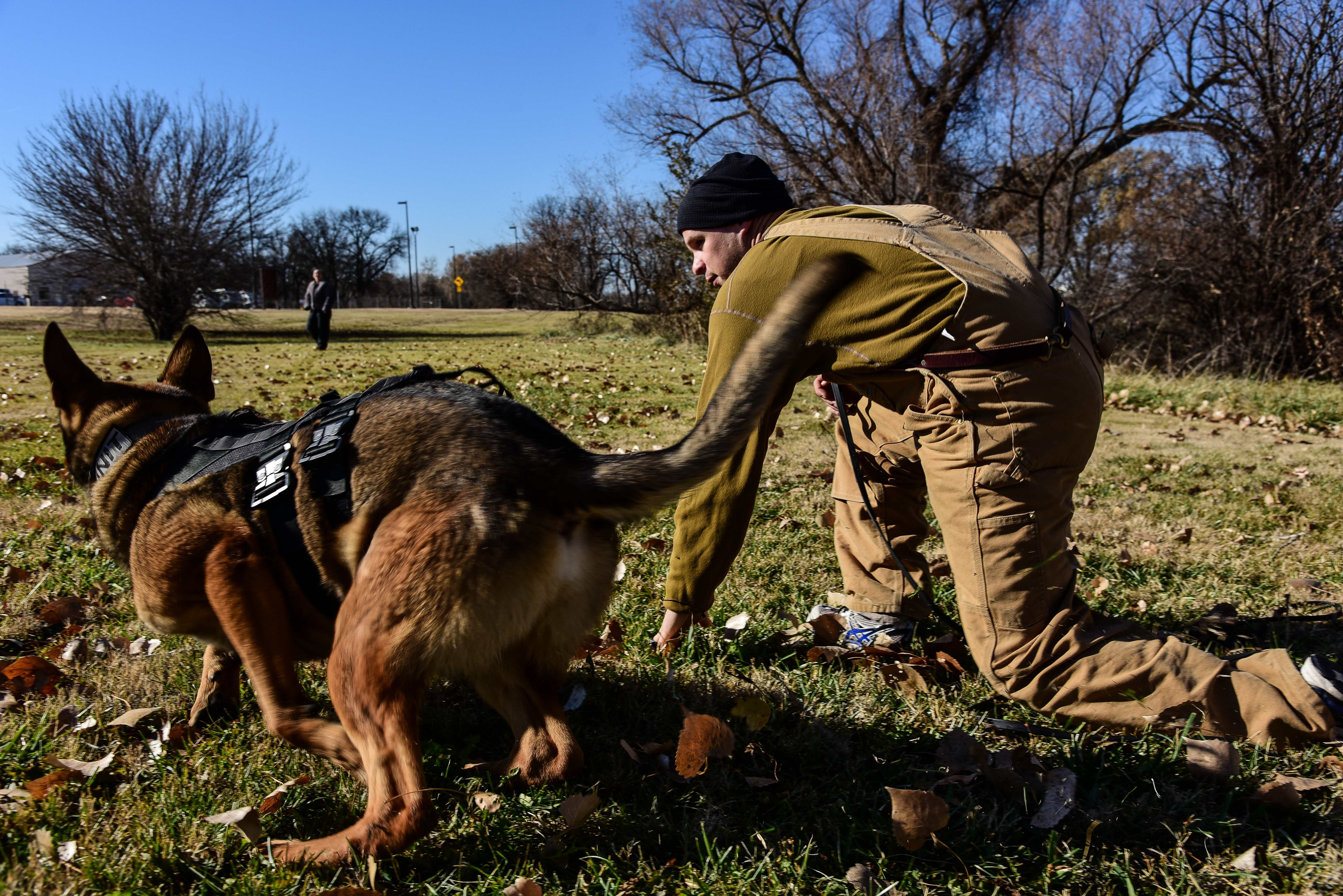 22nd SFS MWD sharpens skills > McConnell Air Force Base > News