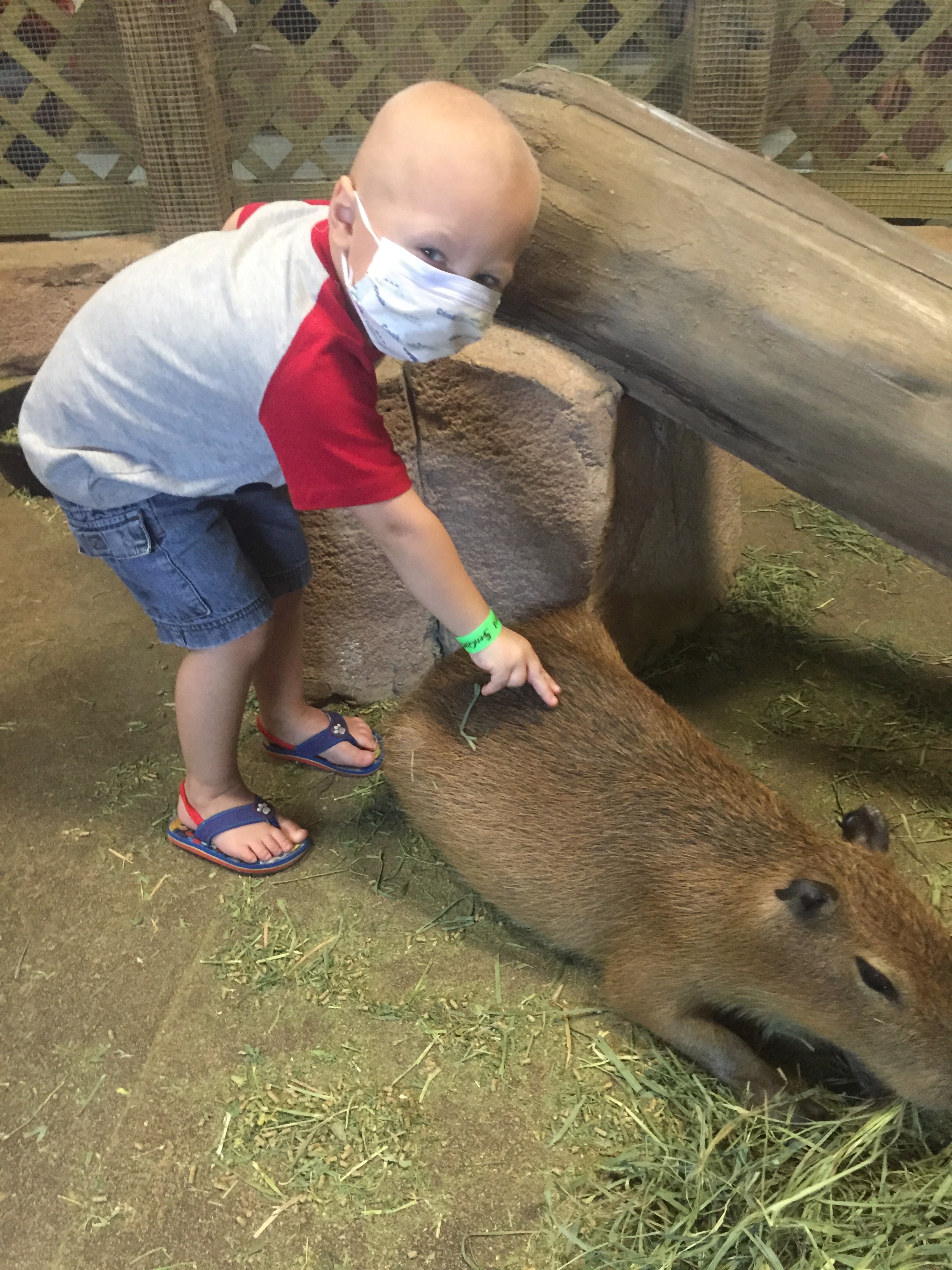 Colton conquers cancer > Dyess Air Force Base > News