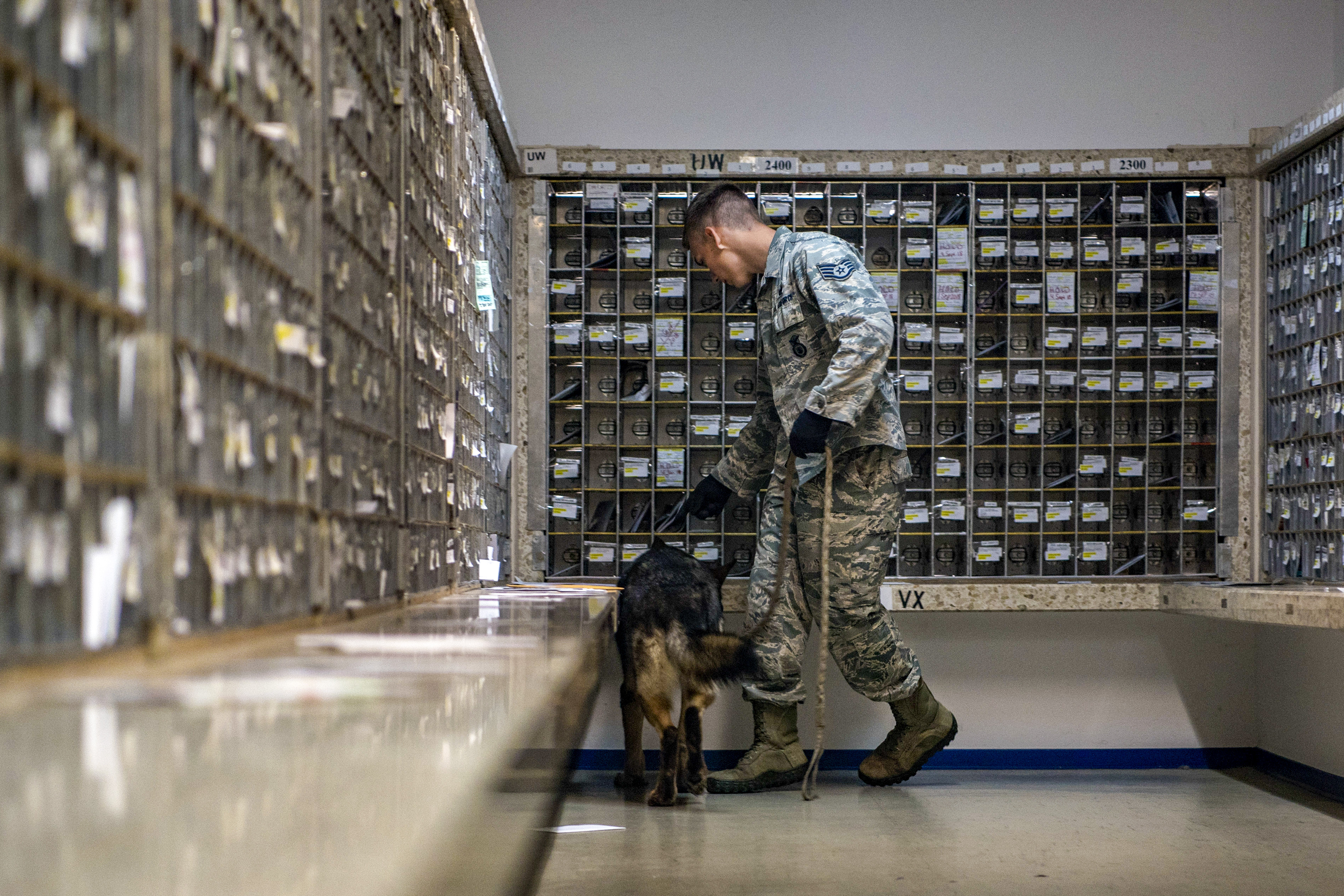 Safety Sniffer | U.S. Department of War
