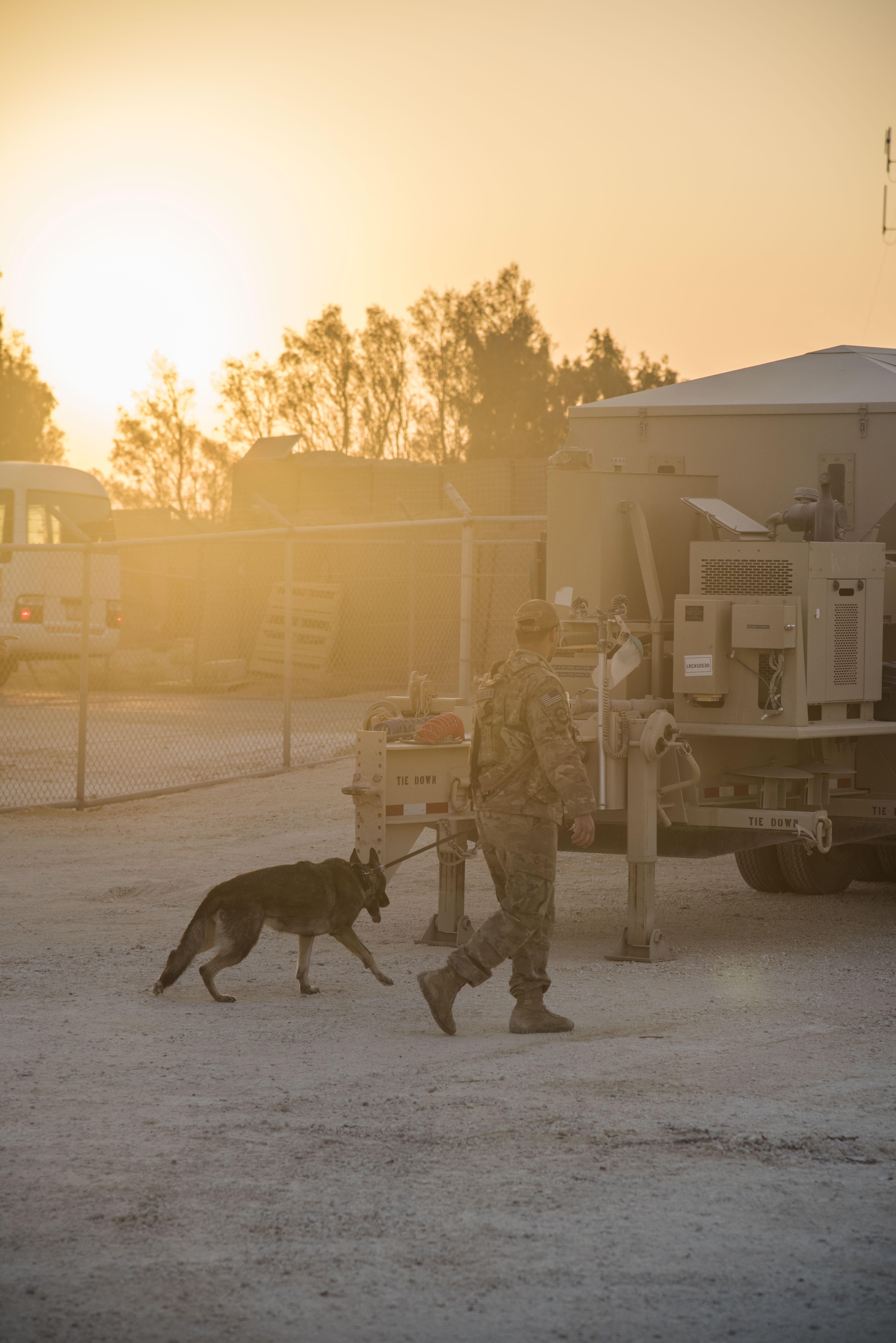 332nd ESFS trains military working dogs for success > U.S. Air Forces ...