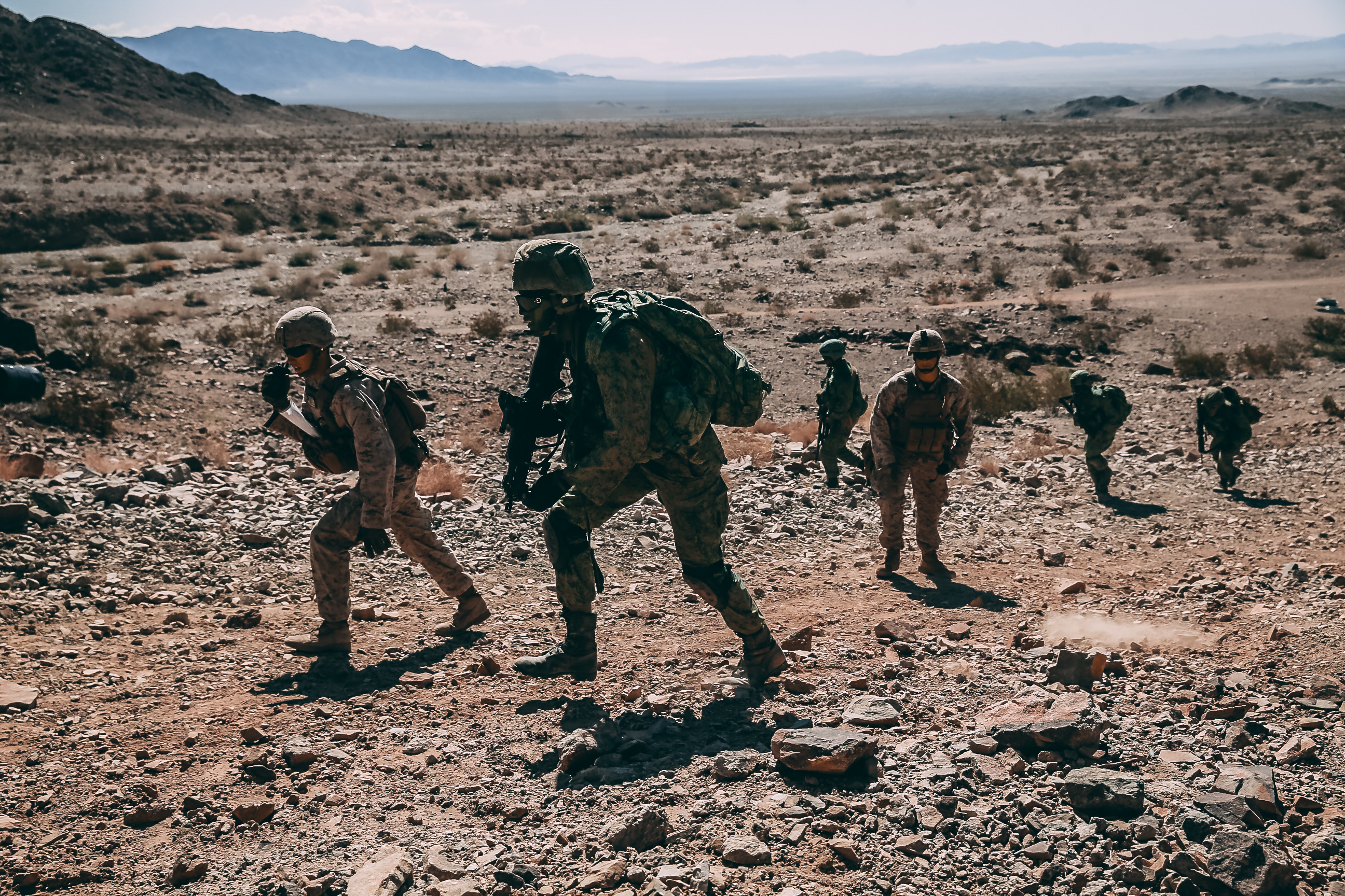 Peek-a-boo, I see you!