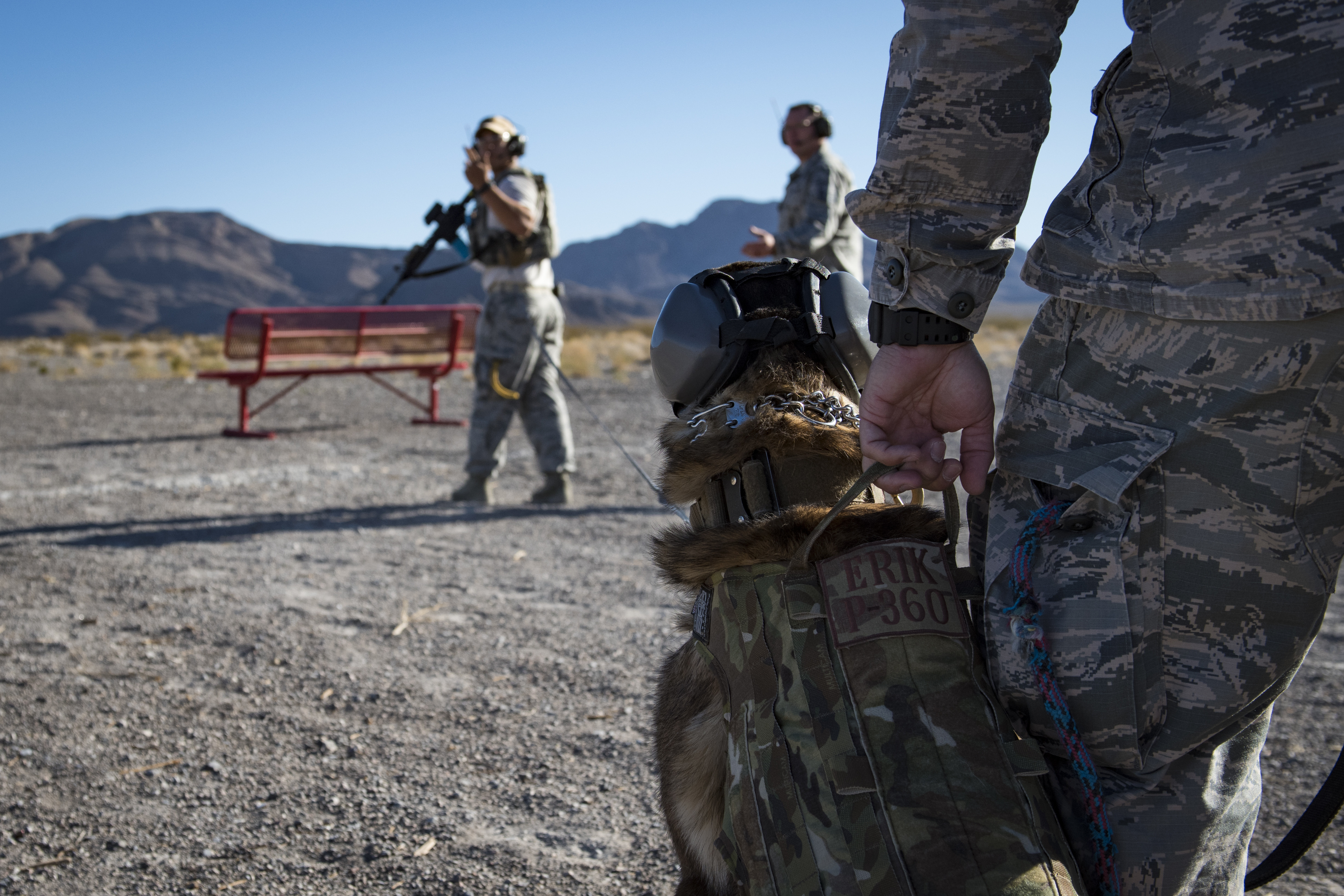 Nellis K-9 unit conducts live-fire training > Nellis Air Force Base > News