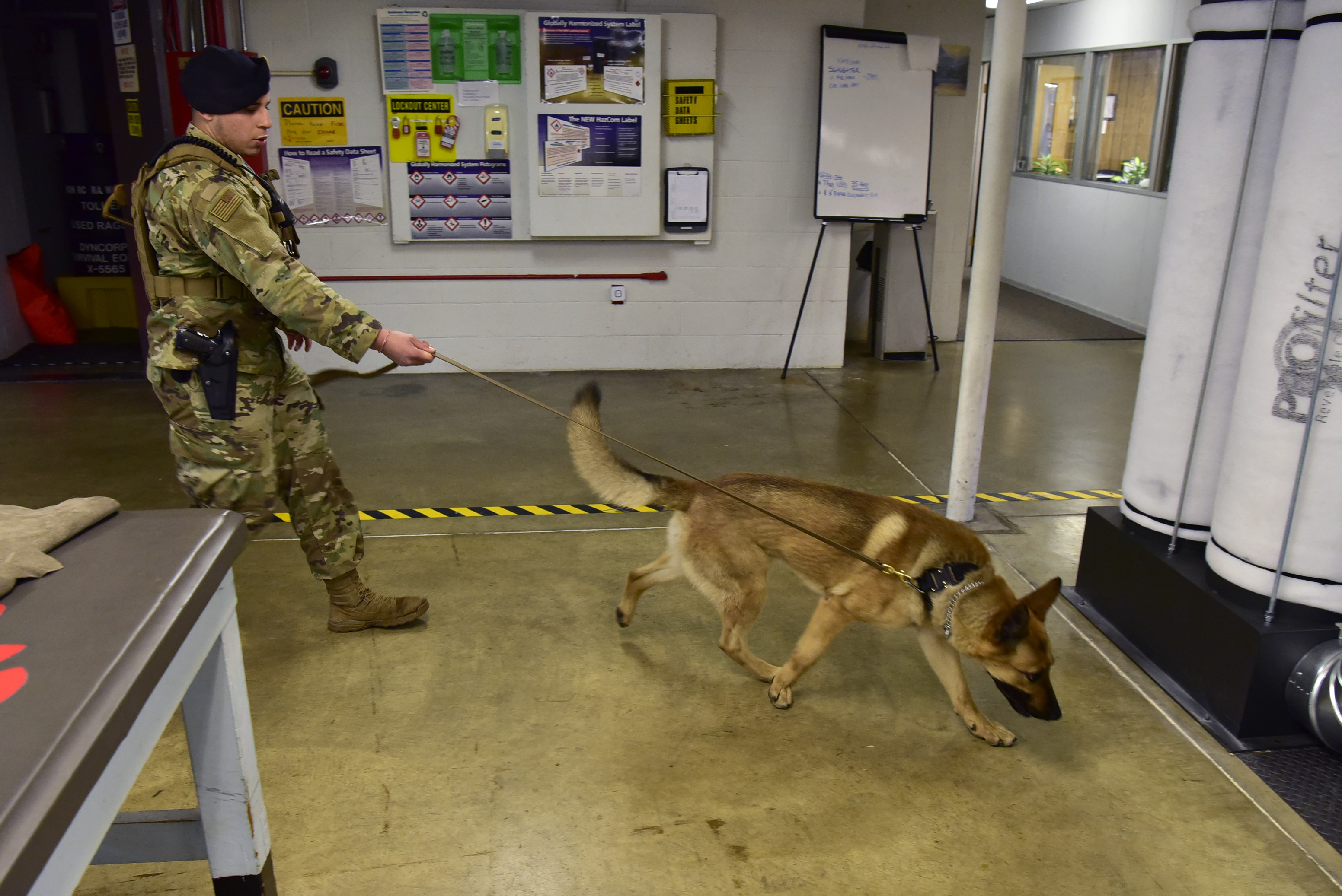 K9 Chronicles > Joint Base Andrews > Article Display