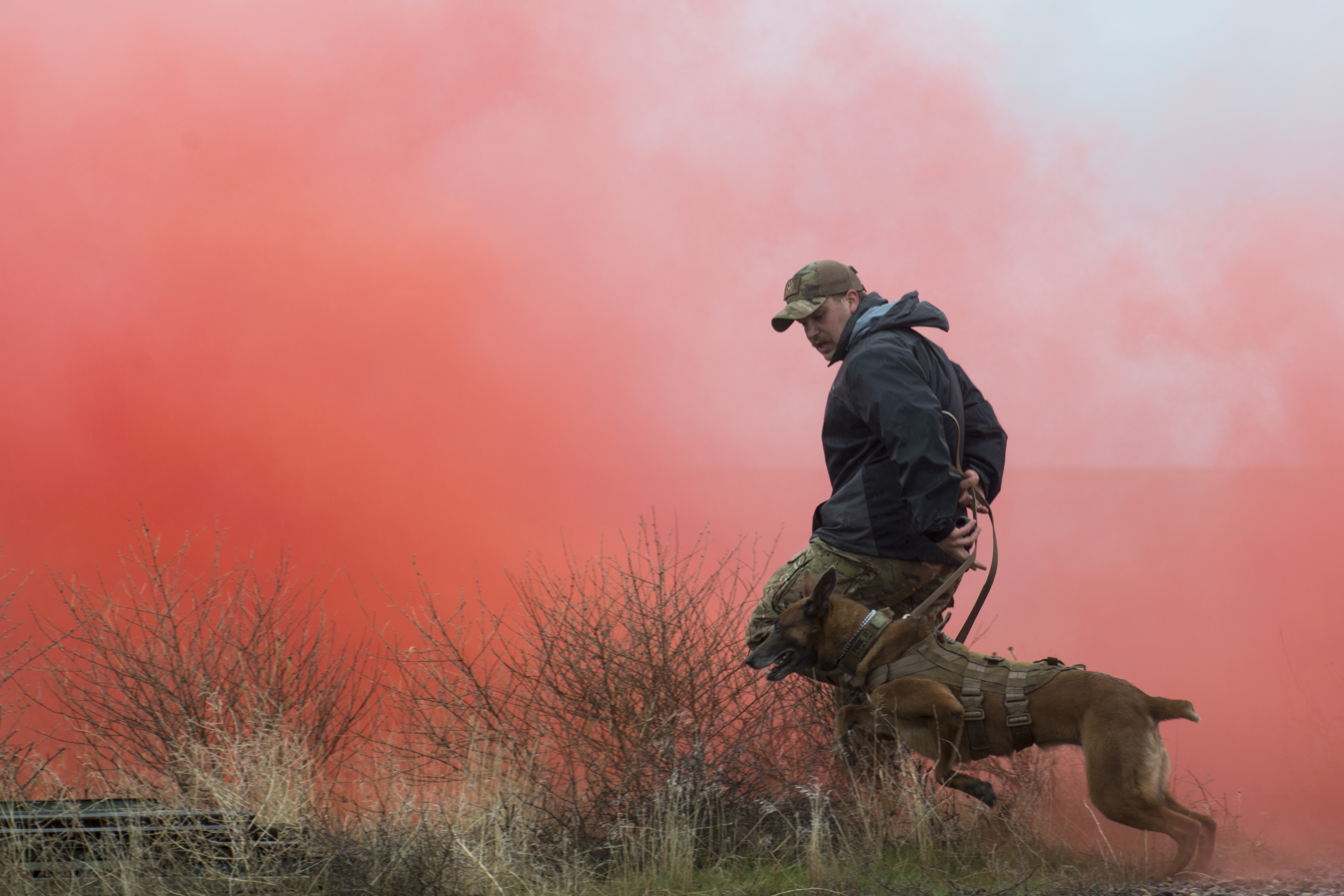 Gunfighter Flag 19-1 > Mountain Home Air Force Base > Article Display