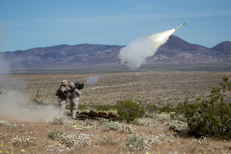 3rd Marine Aircraft Wing > Units > MACG-38 > 3D LAAD BN