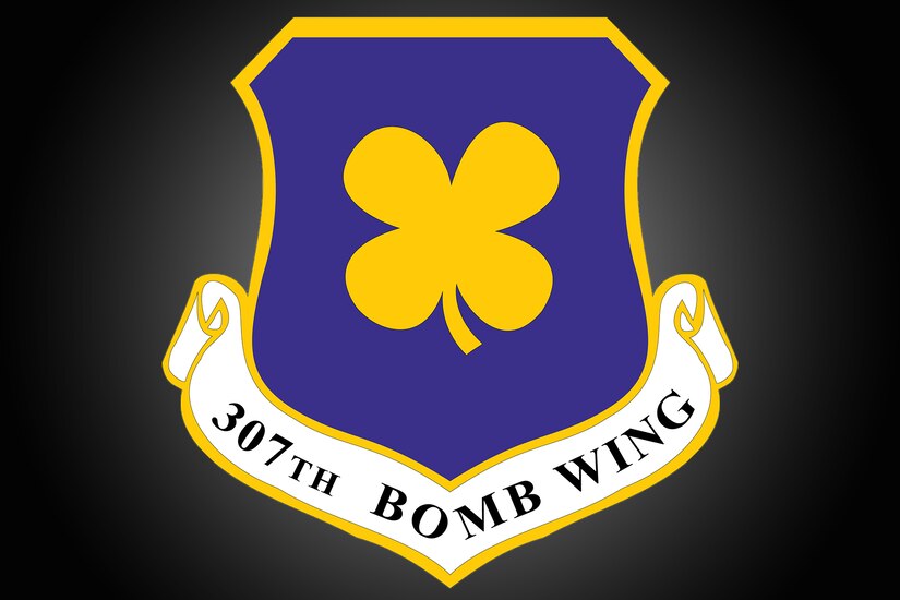 Group career advisors an asset and career choice > 307th Bomb Wing ...