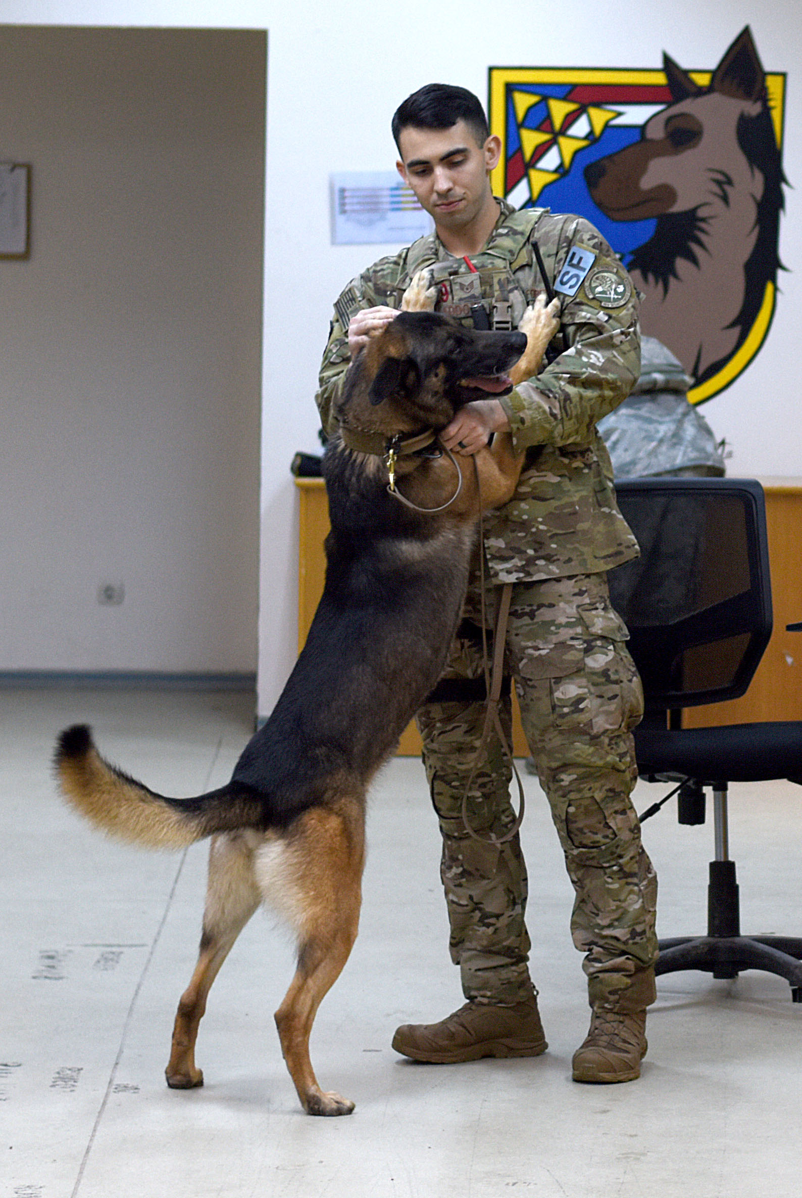 SFS military working dogs, Airmen keep base safe, secure > U.S. Air ...