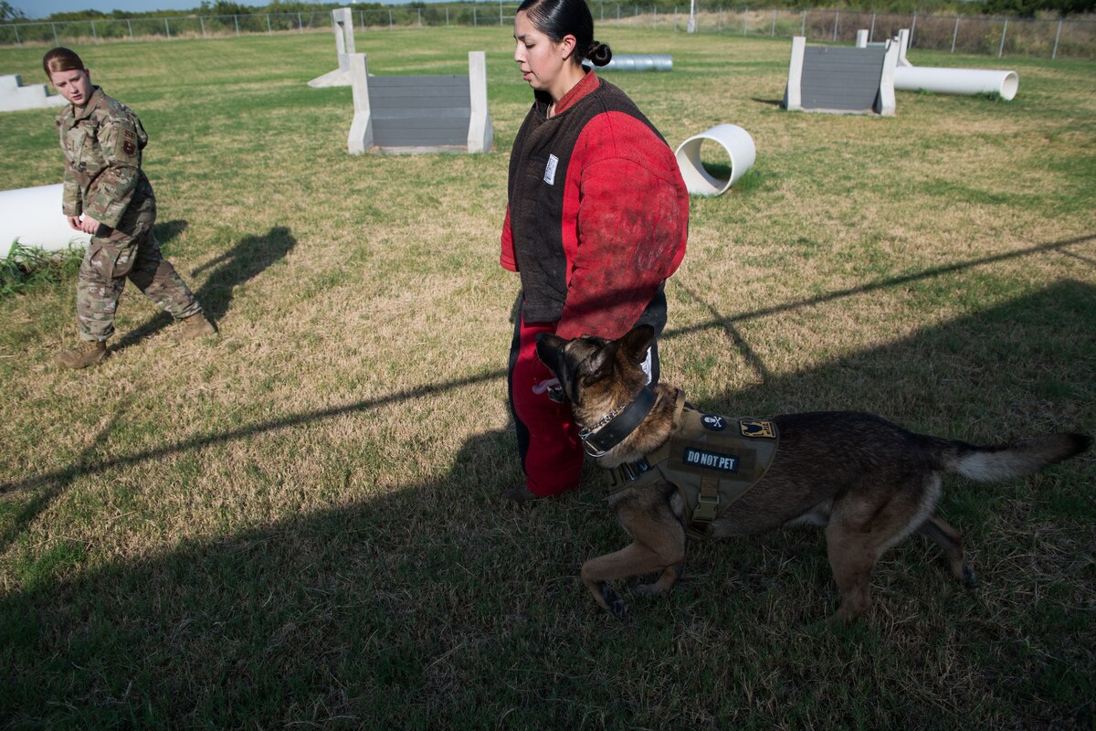JBSA-Lackland, USPS San Antonio honor Military Working Dogs > Air Force ...