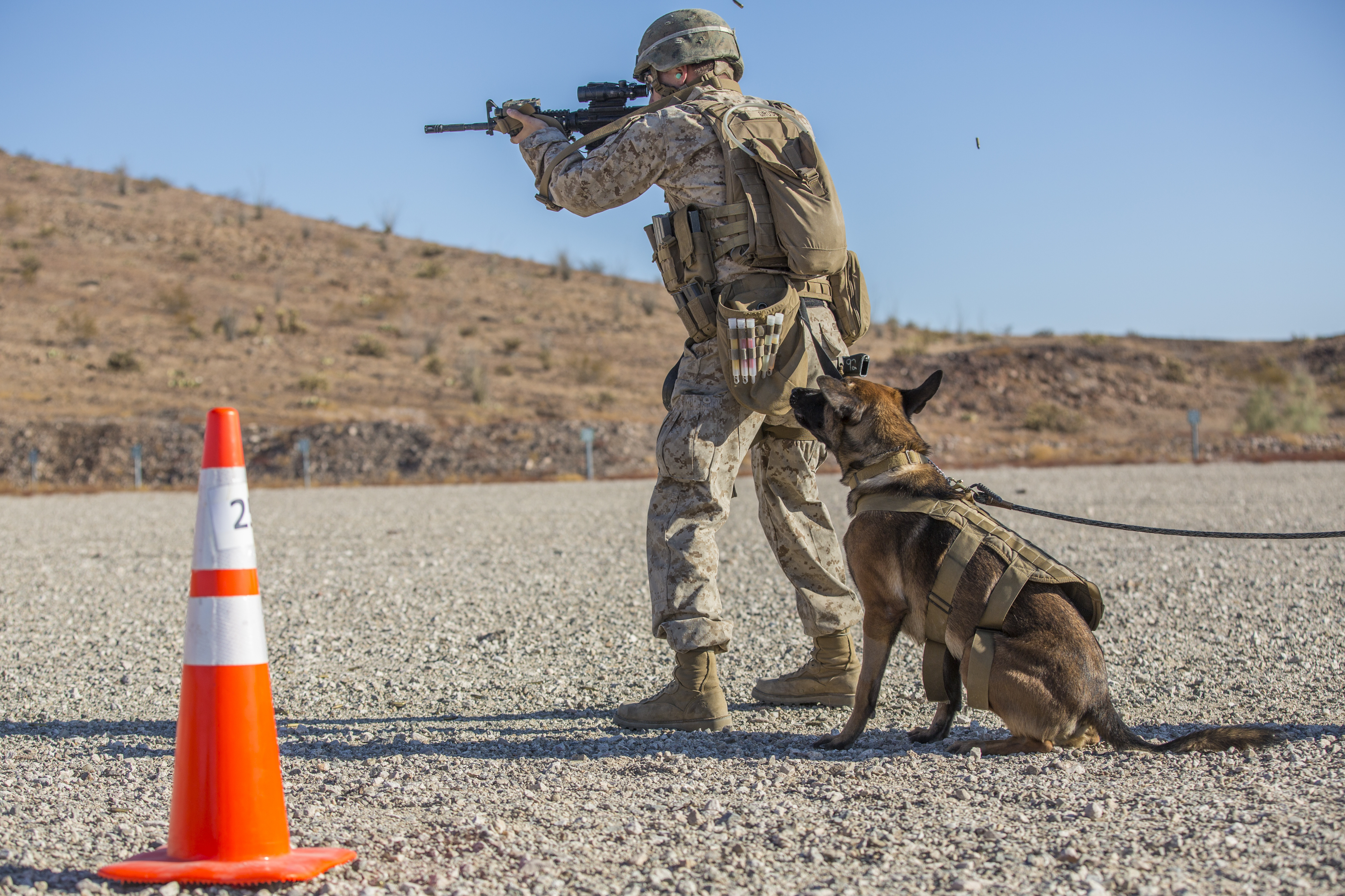 Marines Conduct K9 Live Fire Training > Marine Corps Air Station Yuma ...