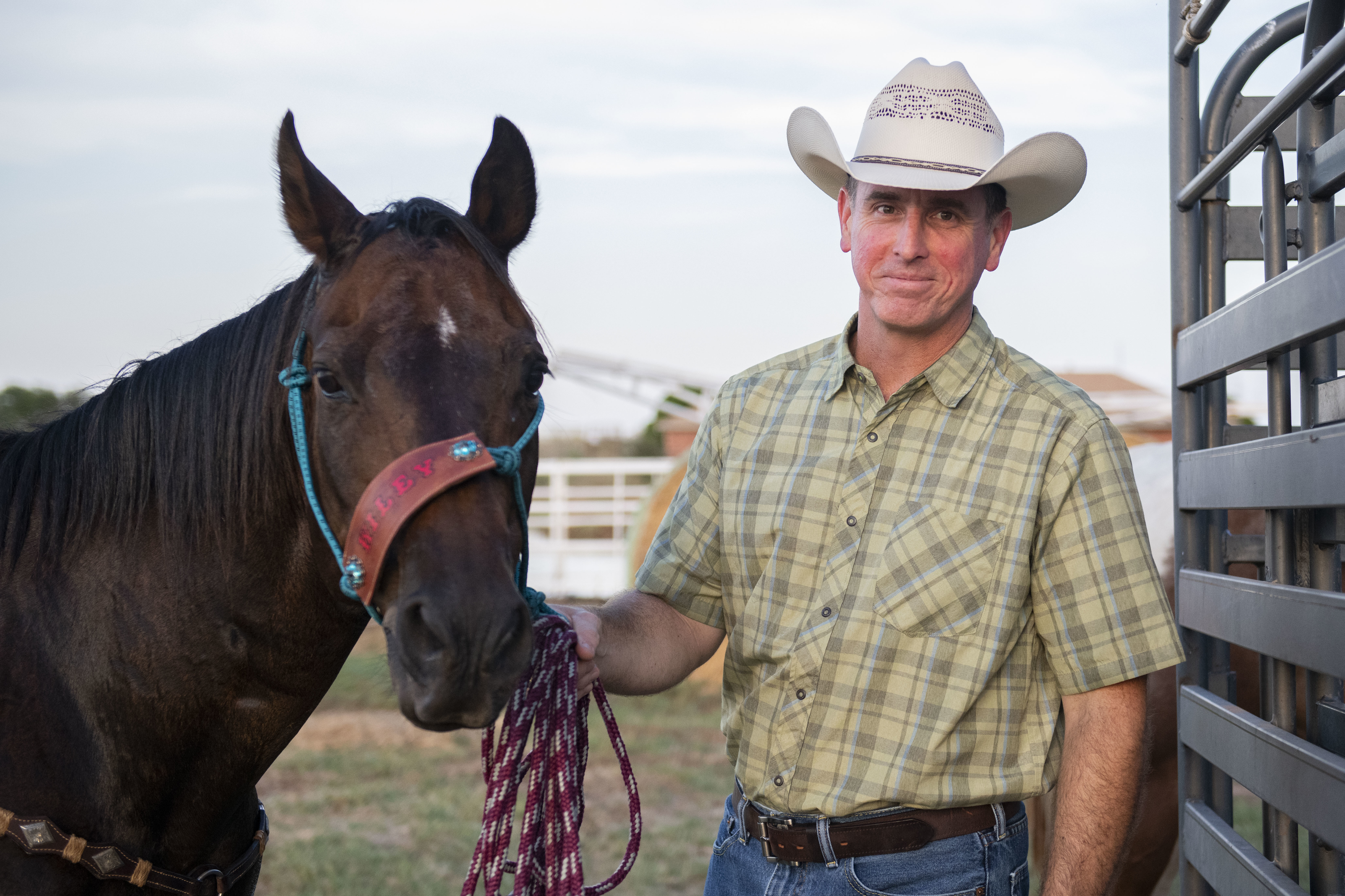 Ranch Sorting Graphics