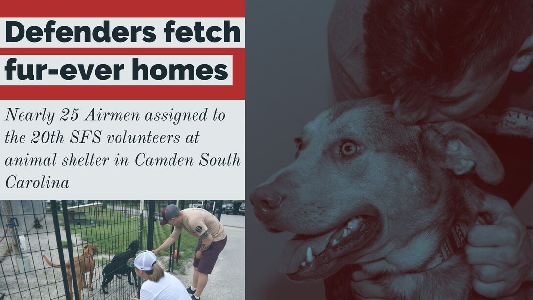 Defenders fetch fur-ever homes