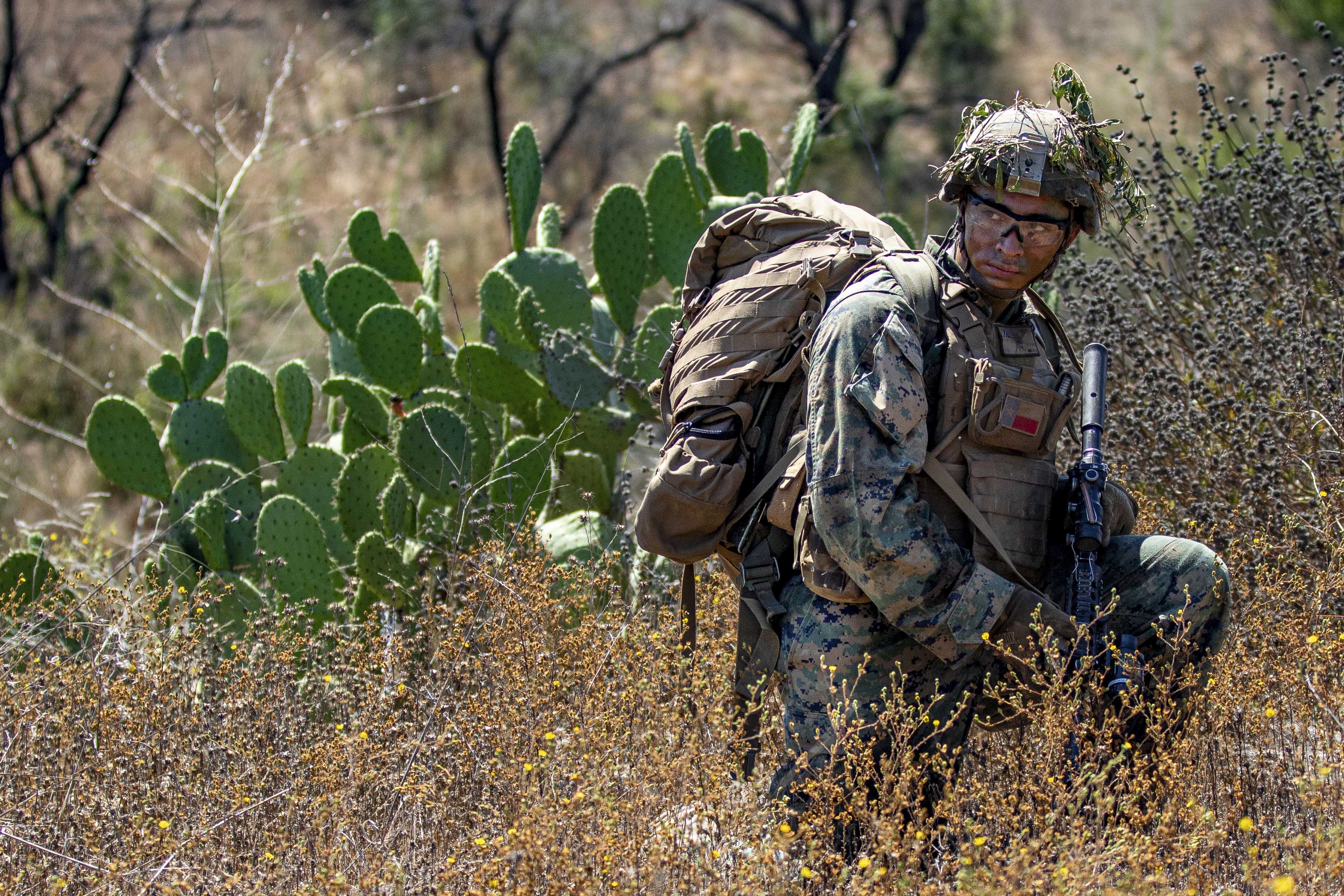 A Marine participates in a simulated patrol during the 1st Marine ...