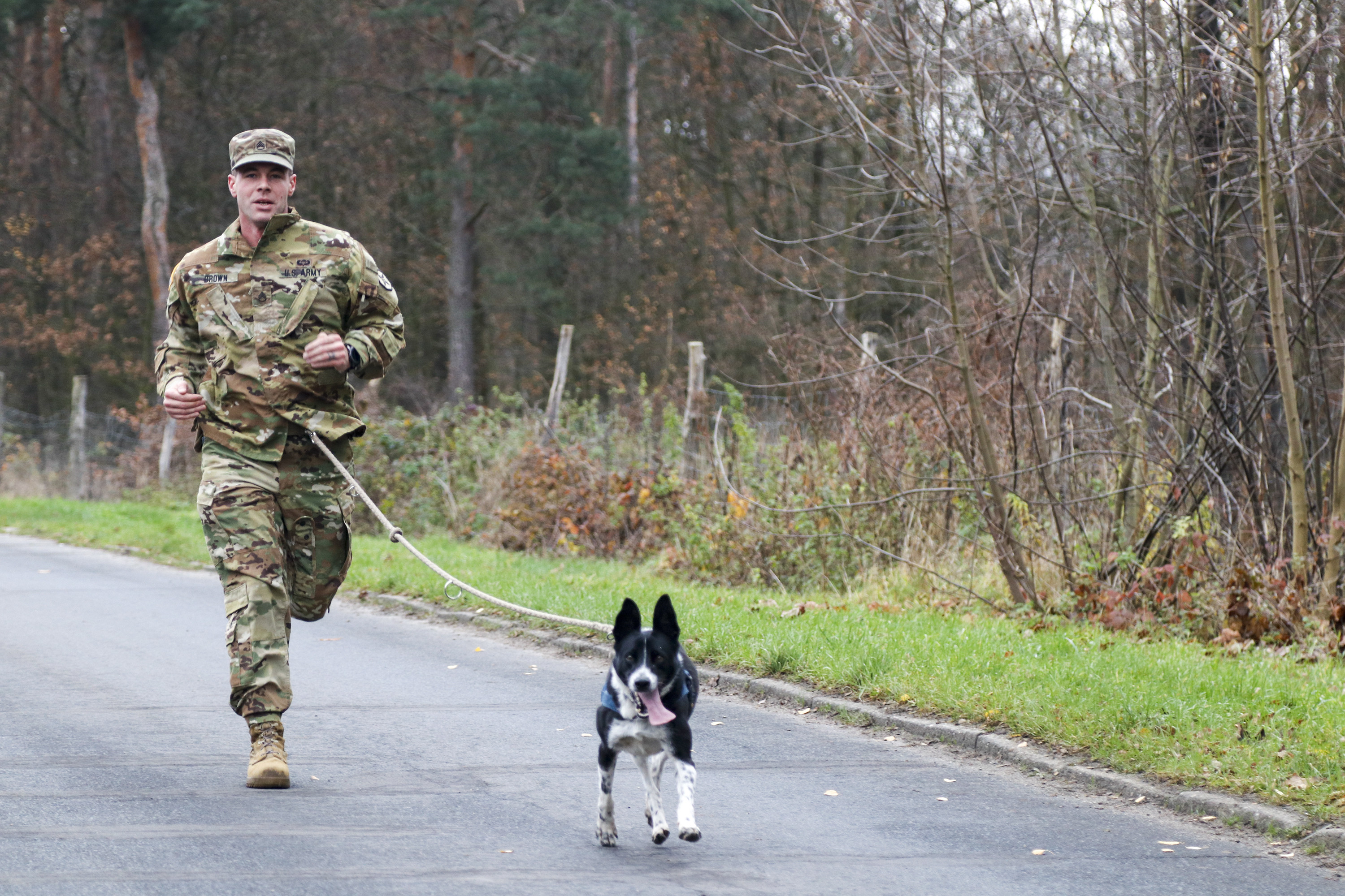 Man's best friend no matter where you are > U.S. Army Reserve > News