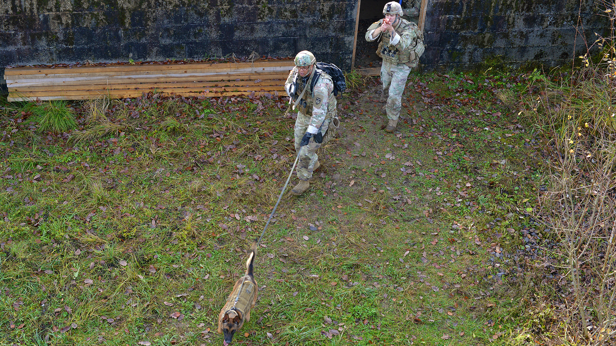 U.S. Army Military Working Dogs