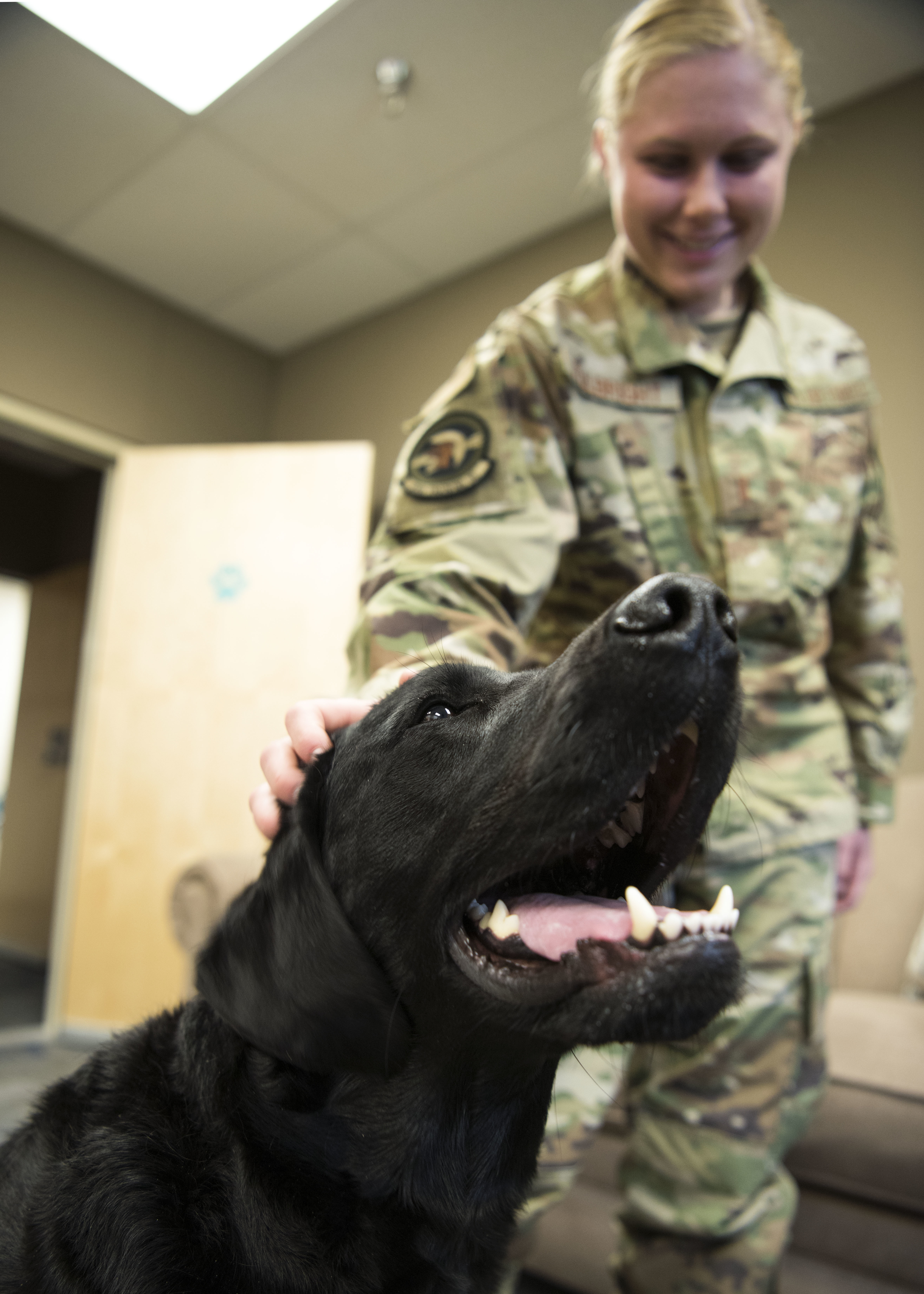 Pawsitive impacts; first DOD certified courthouse facility dog ...