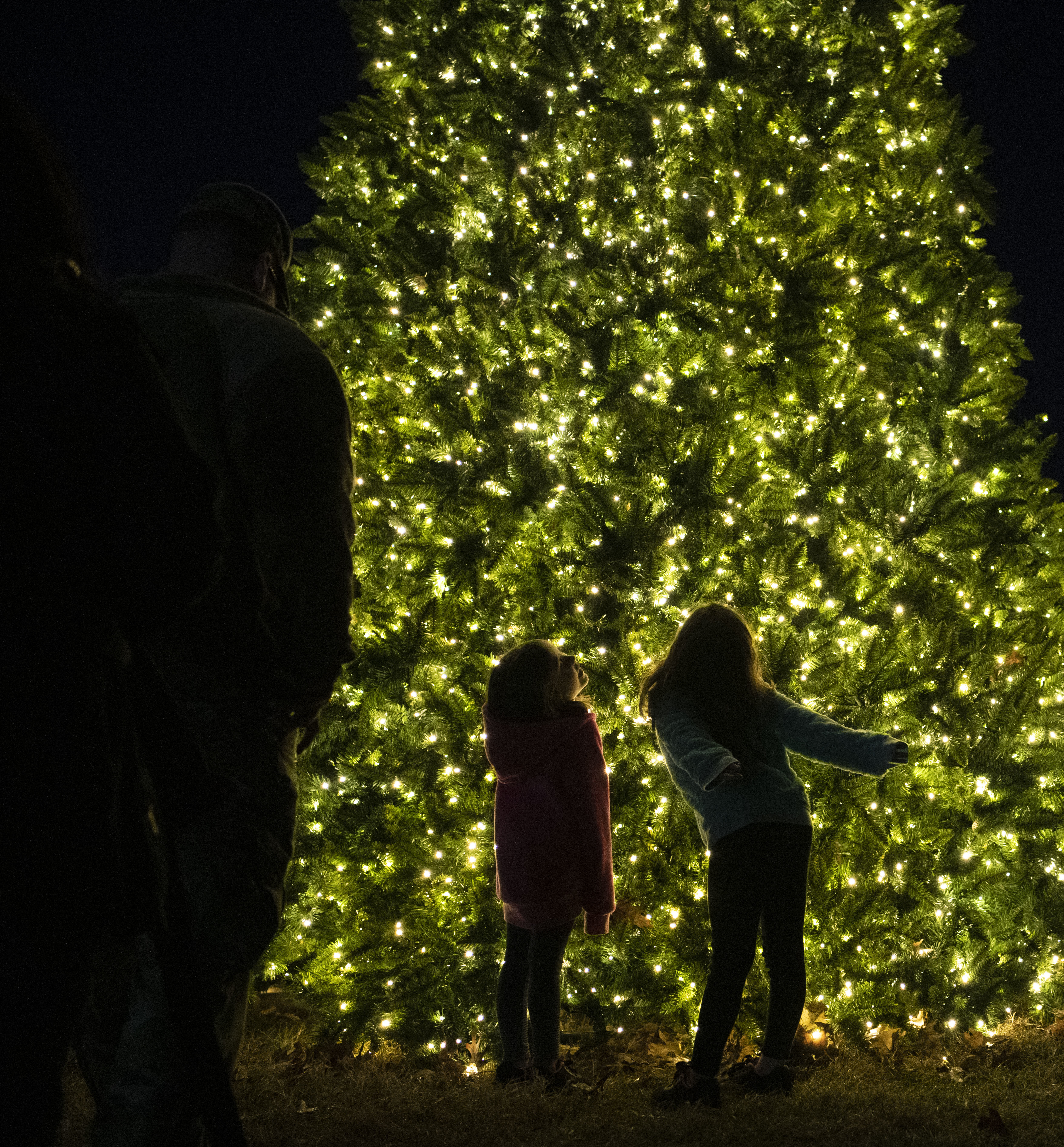 Scott AFB 2019 tree-lighting ceremony > Scott Air Force Base > Article ...