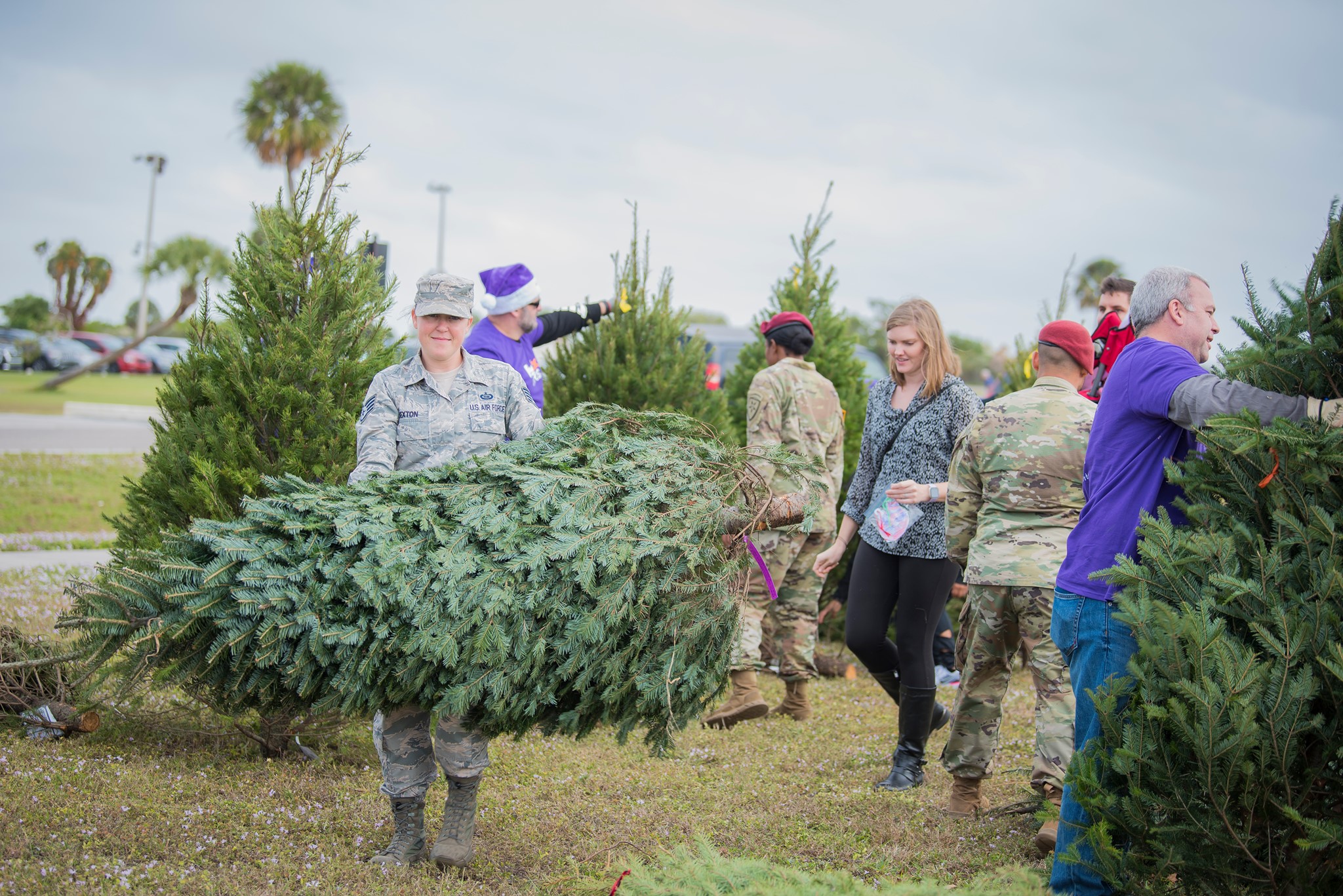 Trees for Troops