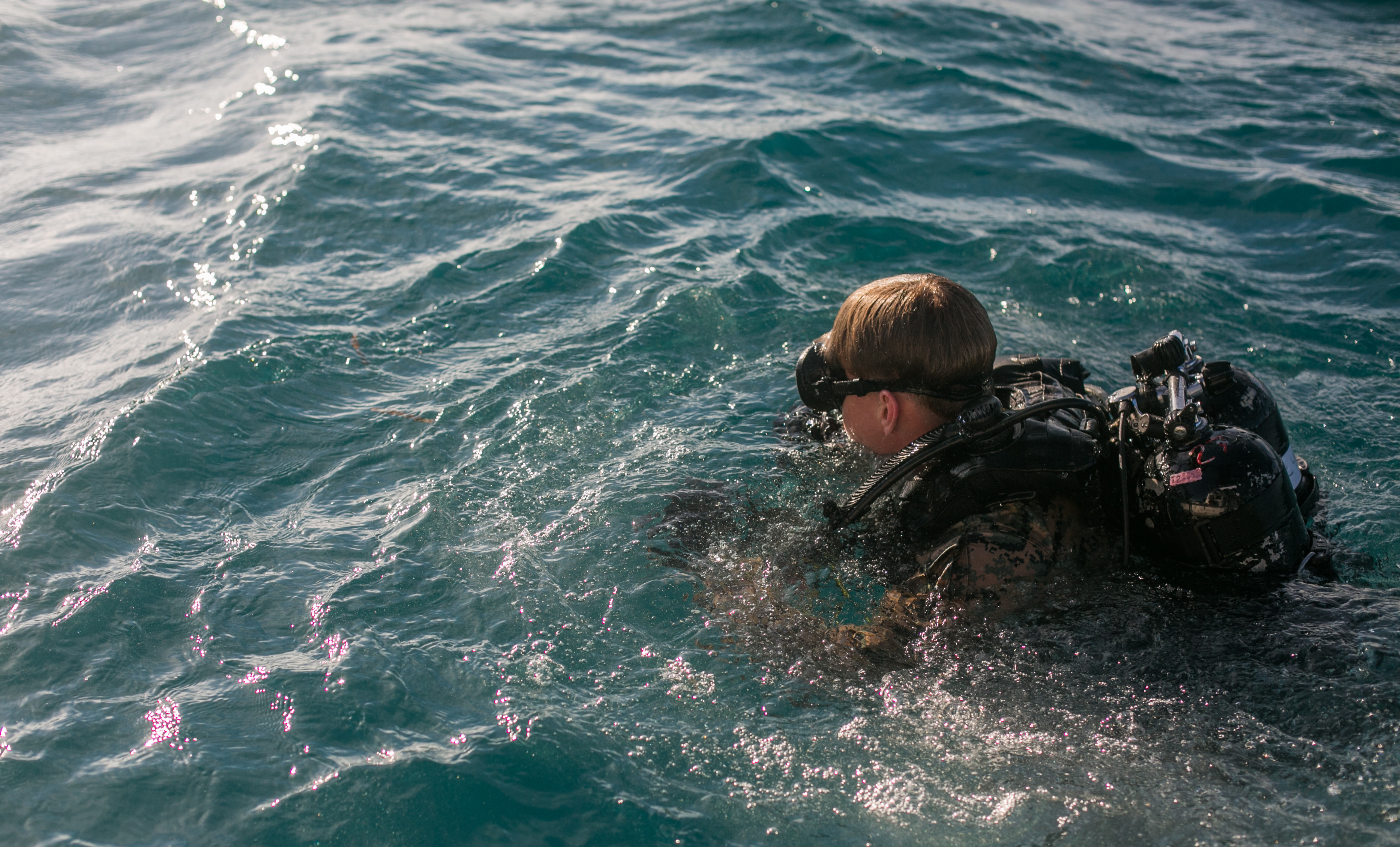 Explore Photos - Search divers