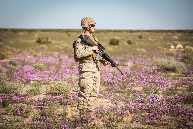 Tactical Warriors of MWSS-371 > Marine Corps Air Station Yuma > News