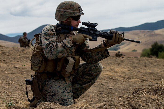 Task Force Koa Moana MRX